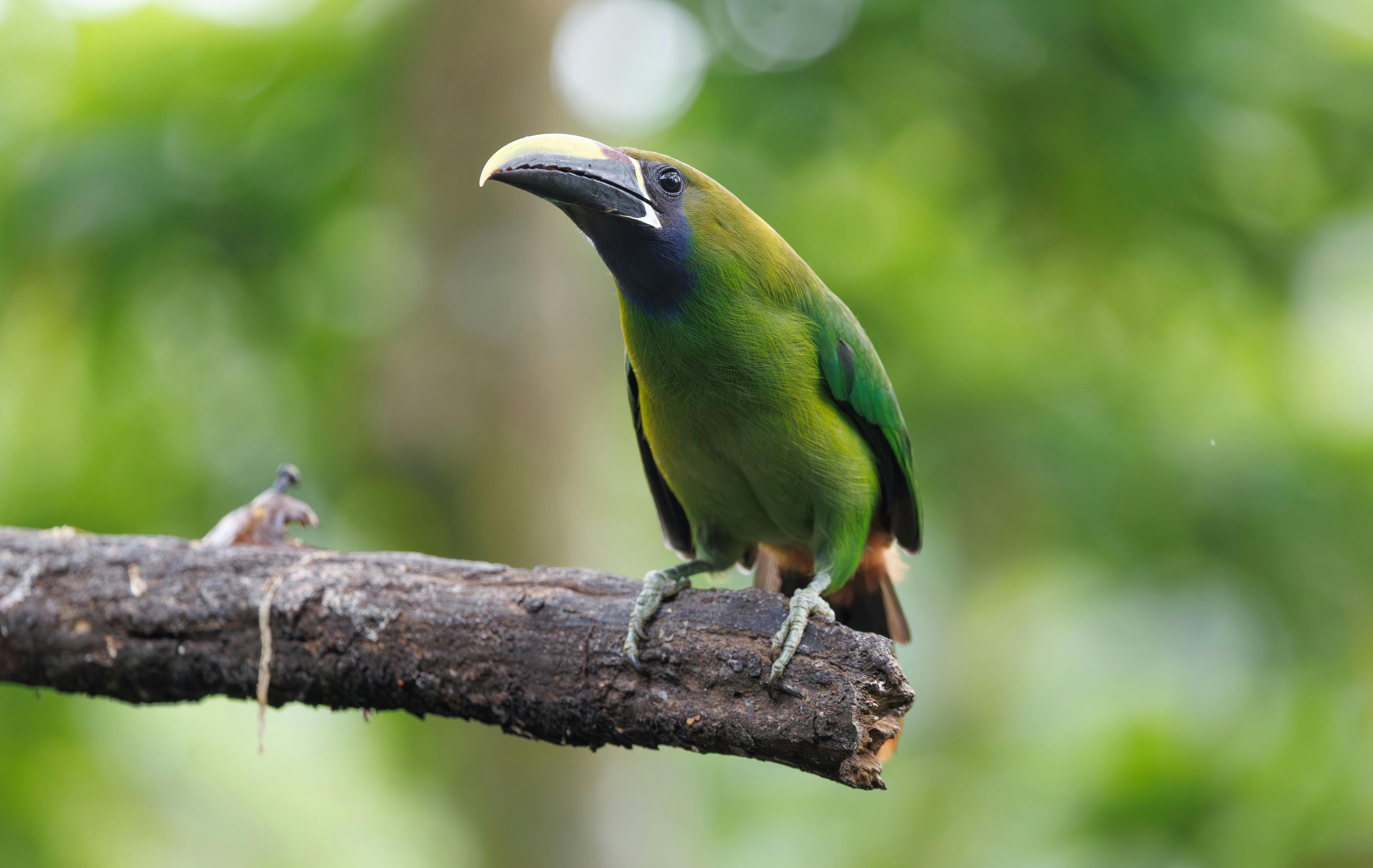 Best+Goon+Pictures Photos, Download The BEST Free Best+Goon+Pictures ...