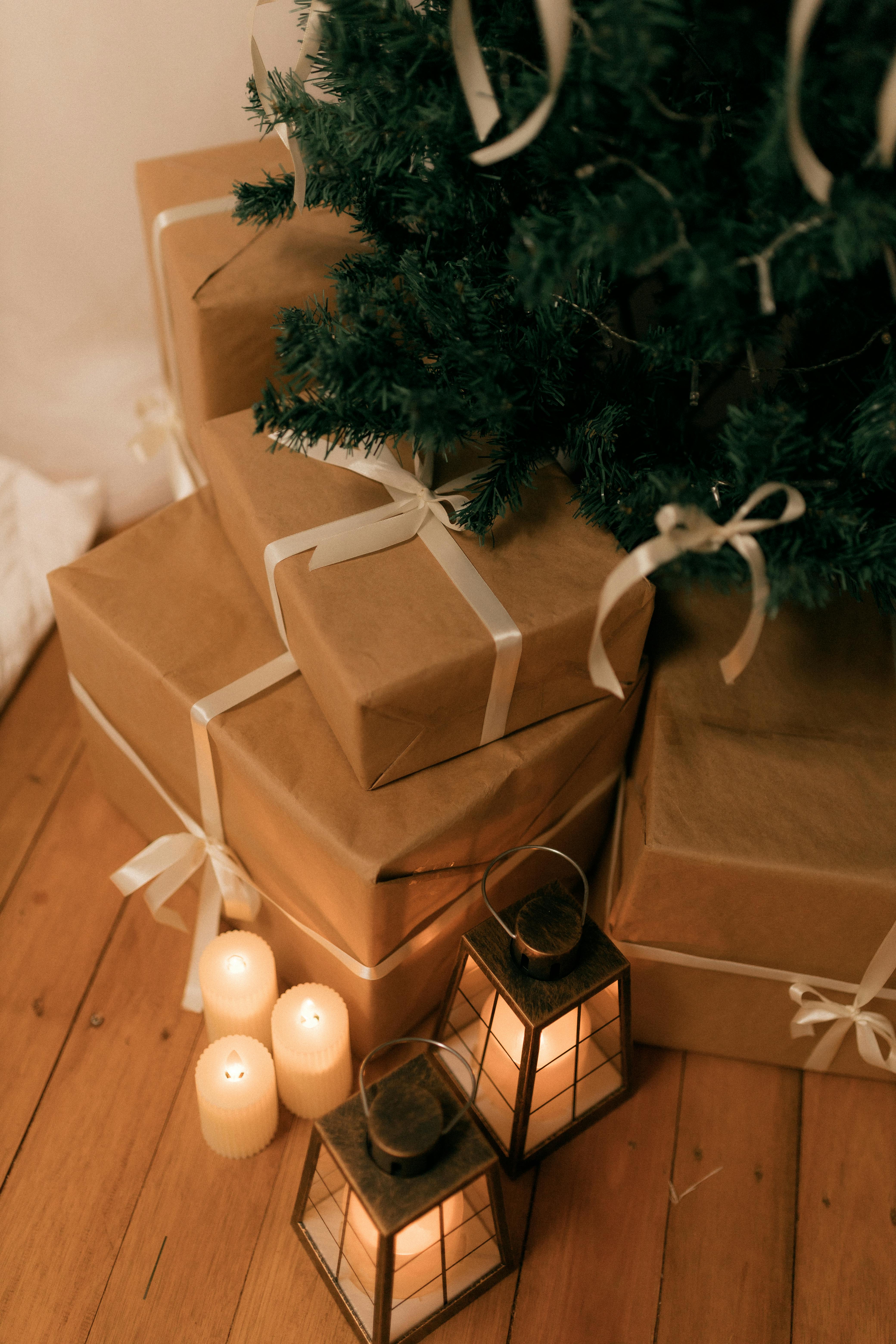 Green+Pfp Photos, Download The BEST Free Green+Pfp Stock Photos & HD Images