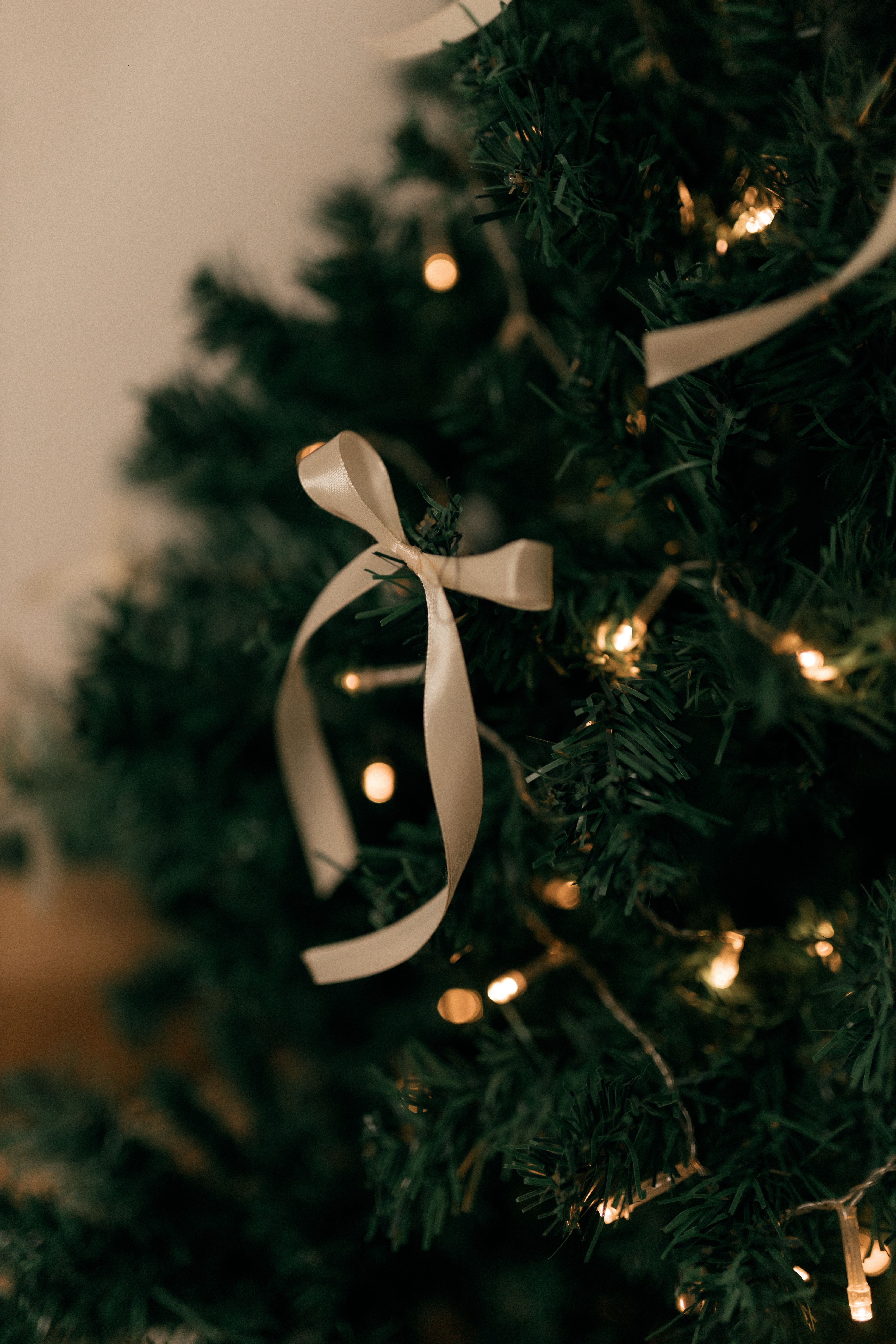 Festive Season Christmas Tree with Lights · Free Stock Photo