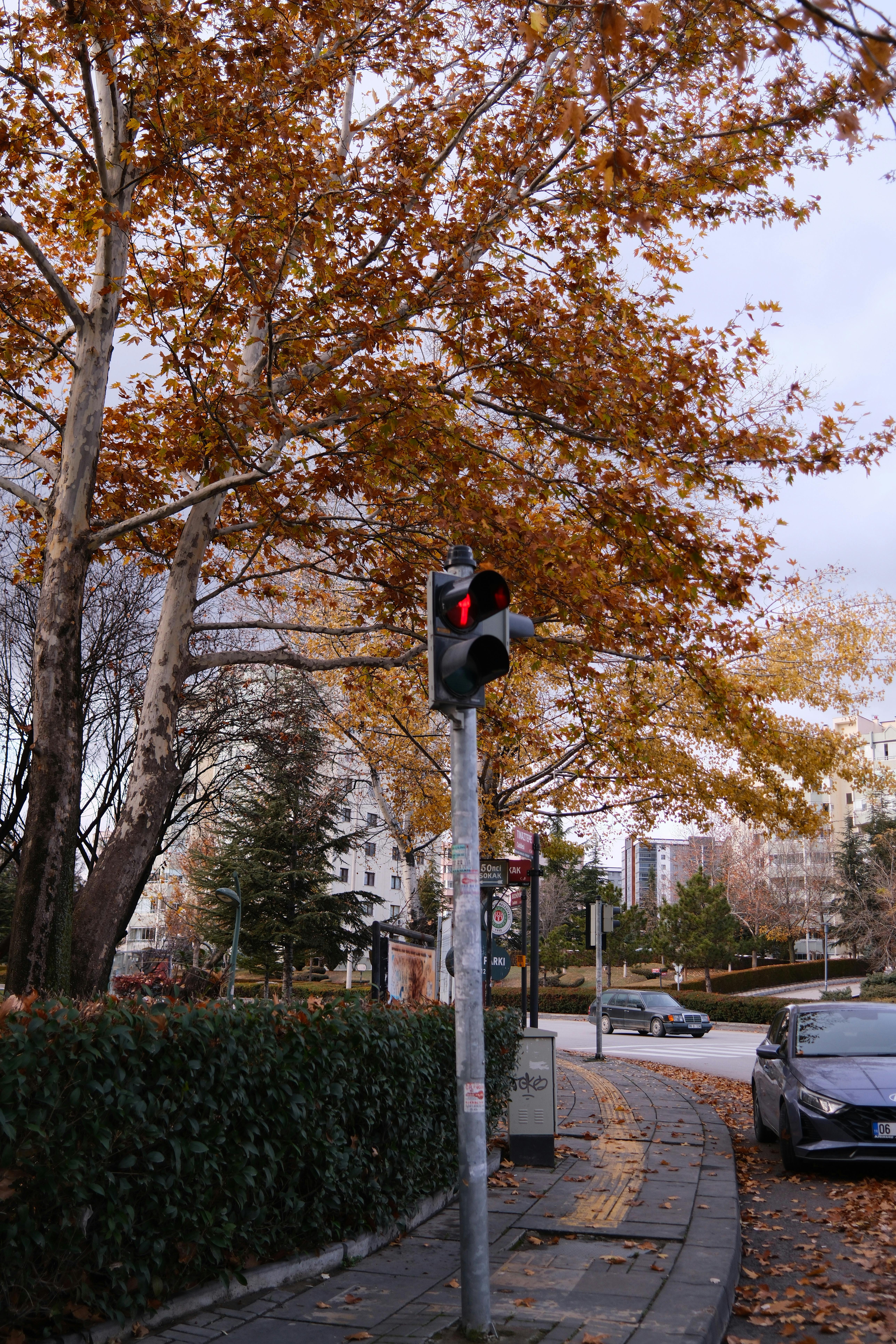 Road Traffic Signals Photos, Download The BEST Free Road Traffic ...