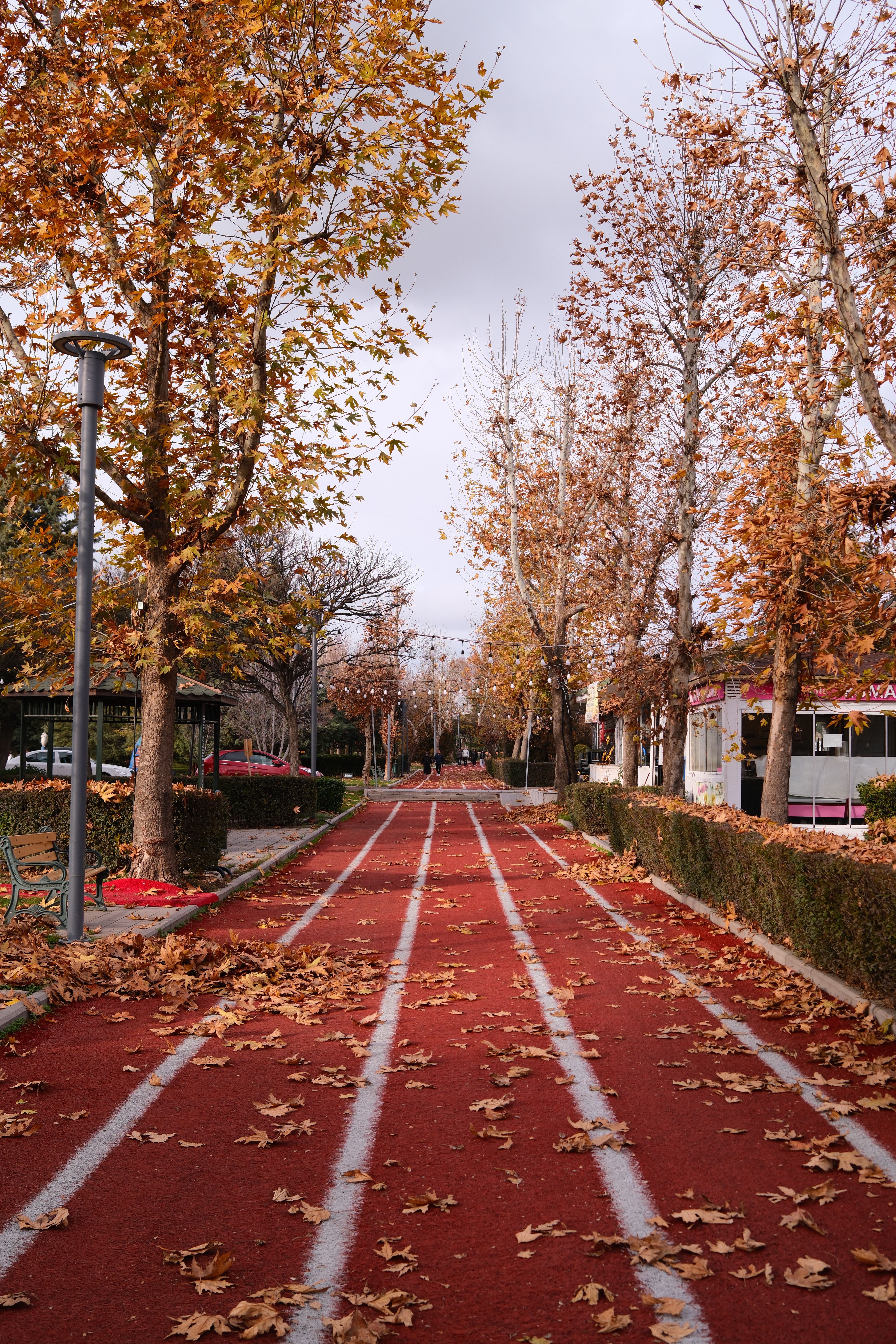 Autumn Leaves on Outdoor Running Track in Park · Free Stock Photo