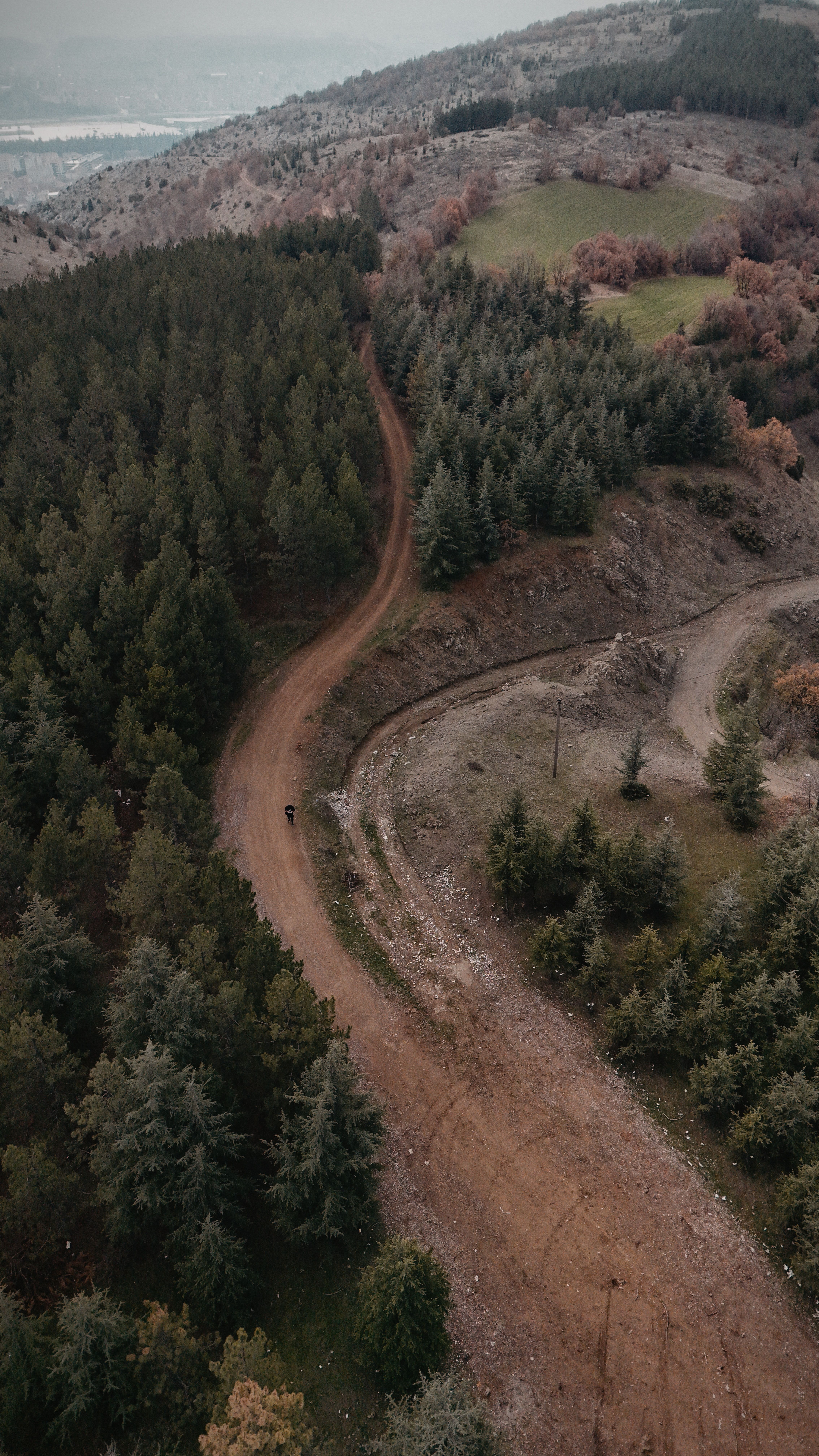 Aerial View of Winding Forest Path in Autumn · Free Stock Photo