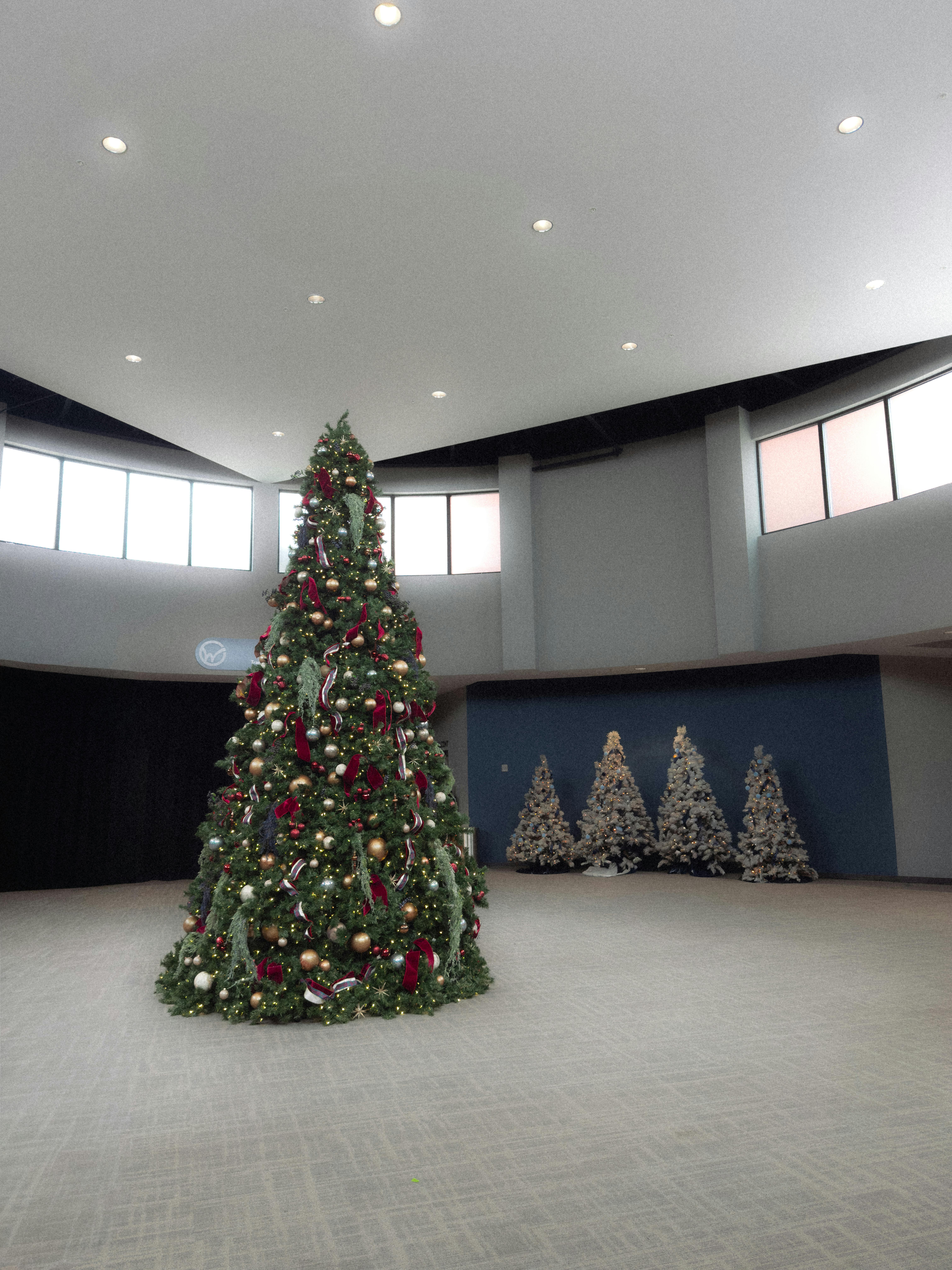 Christmas Visuals Photos, Download The BEST Free Christmas Visuals ...