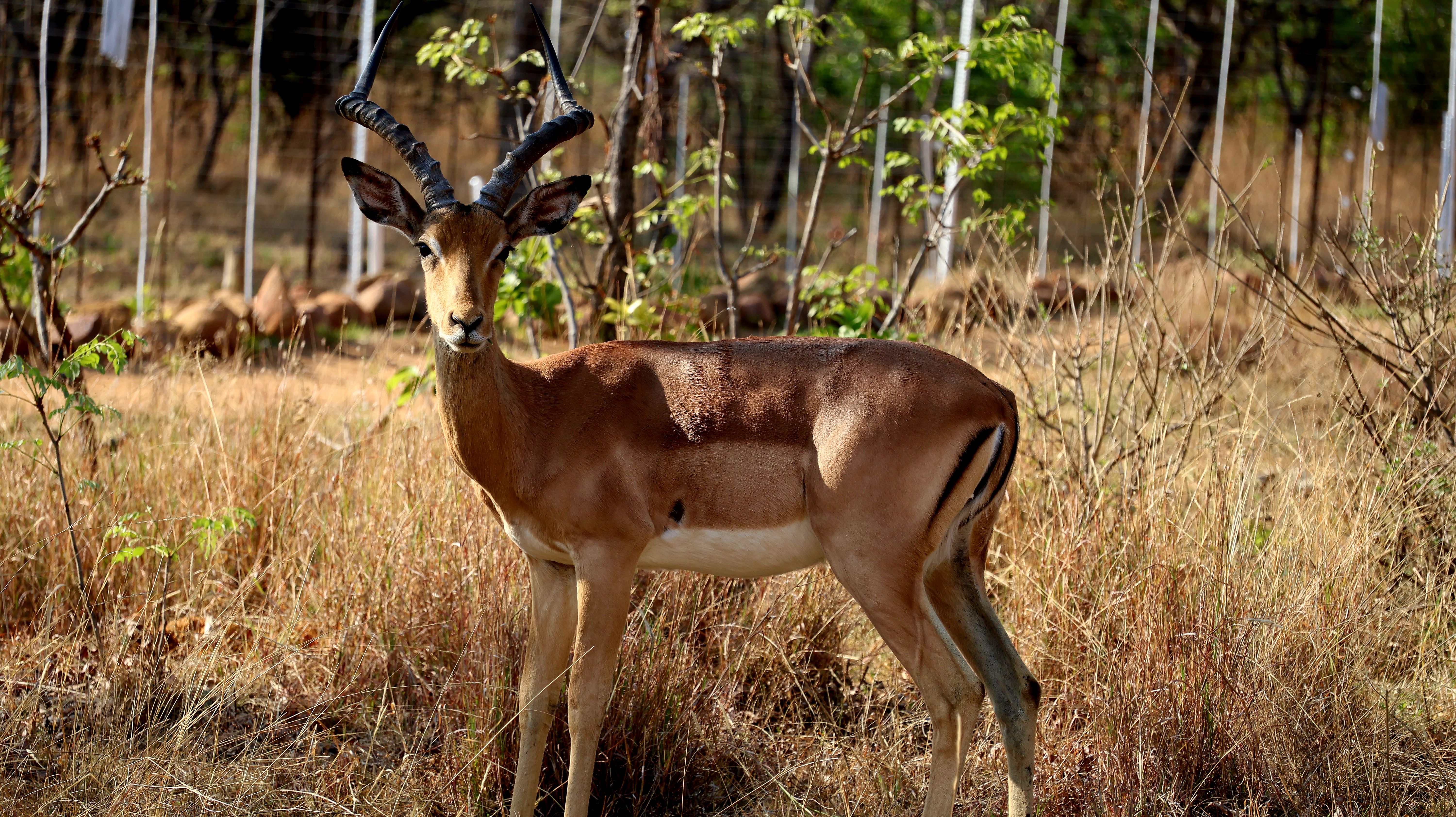 Sub Saharan Africa Landscape Photos, Download The BEST Free Sub Saharan ...