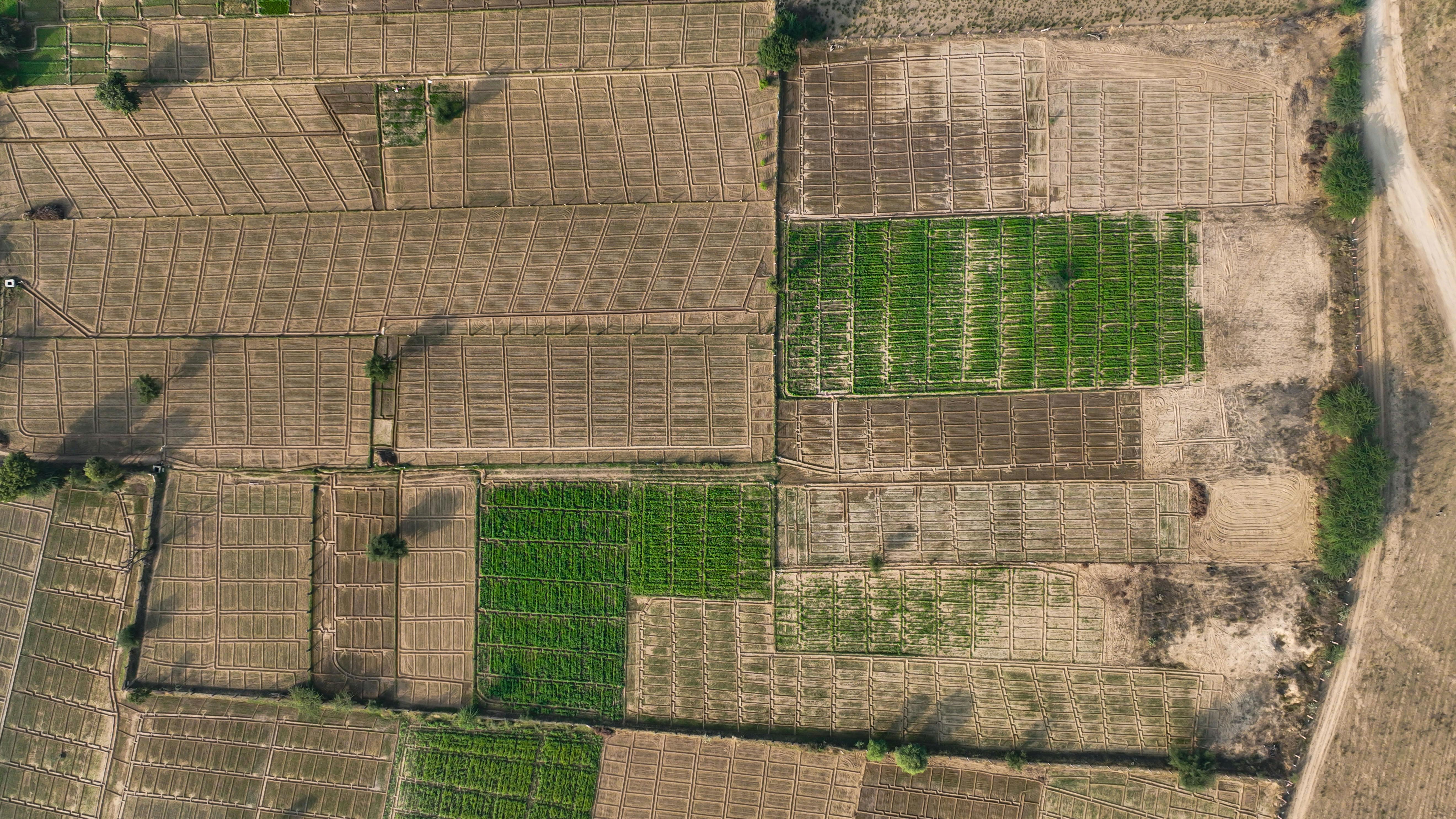 Crop Rotation Photos, Download The BEST Free Crop Rotation Stock Photos ...