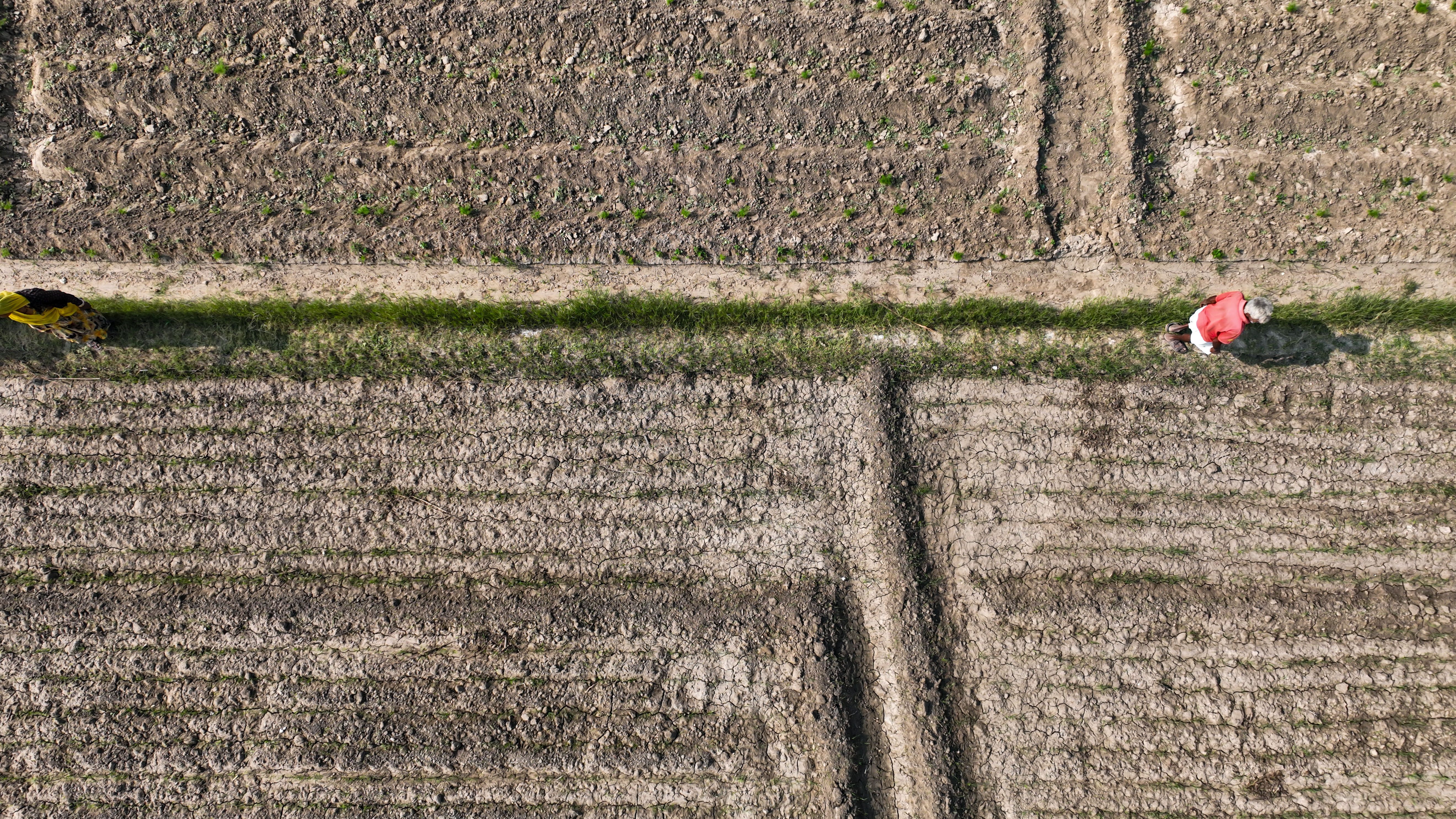 Tariffs Farmers Photos Download The Best Free Tariffs Farmers Stock
