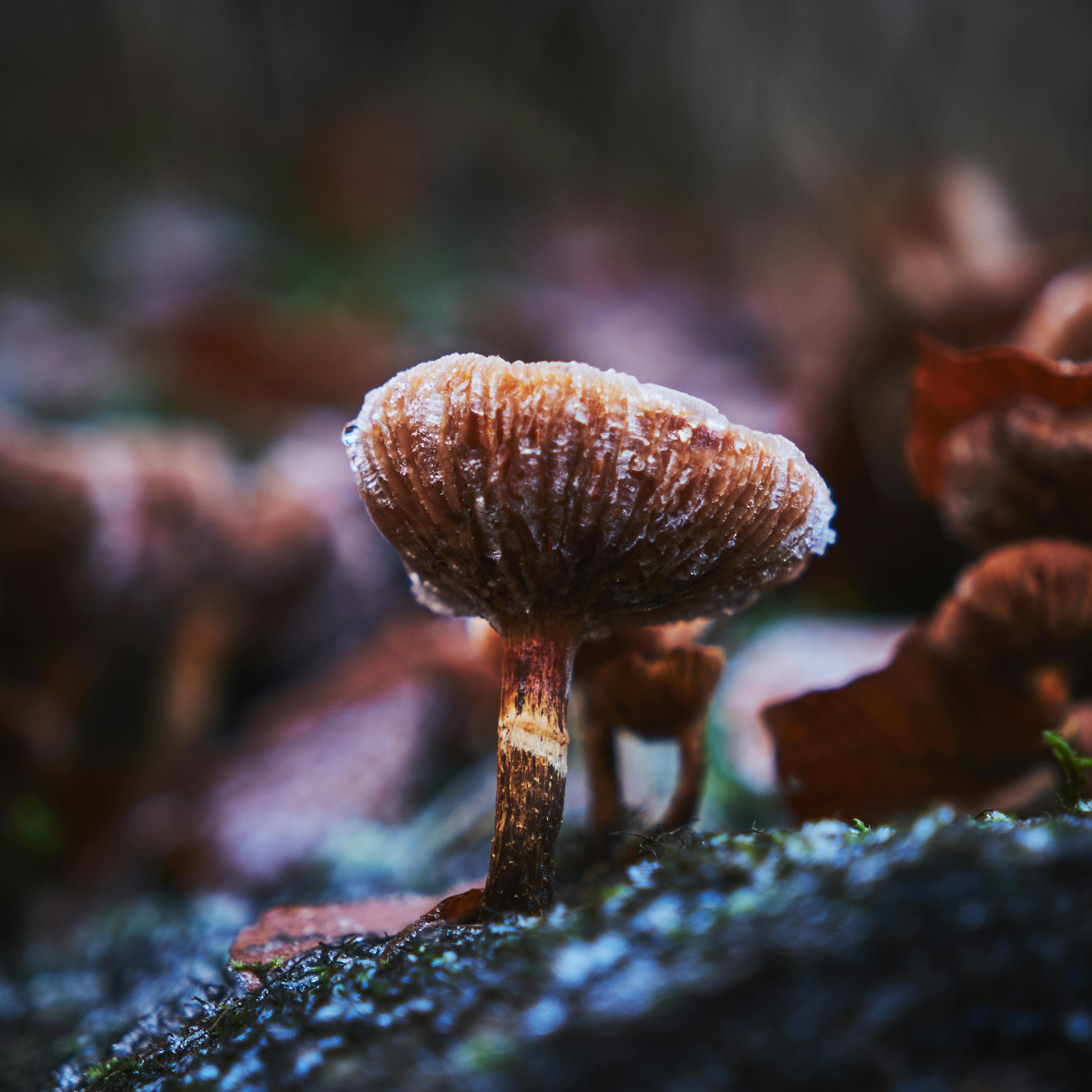 Damp+Lips Photos, Download The BEST Free Damp+Lips Stock Photos & HD Images