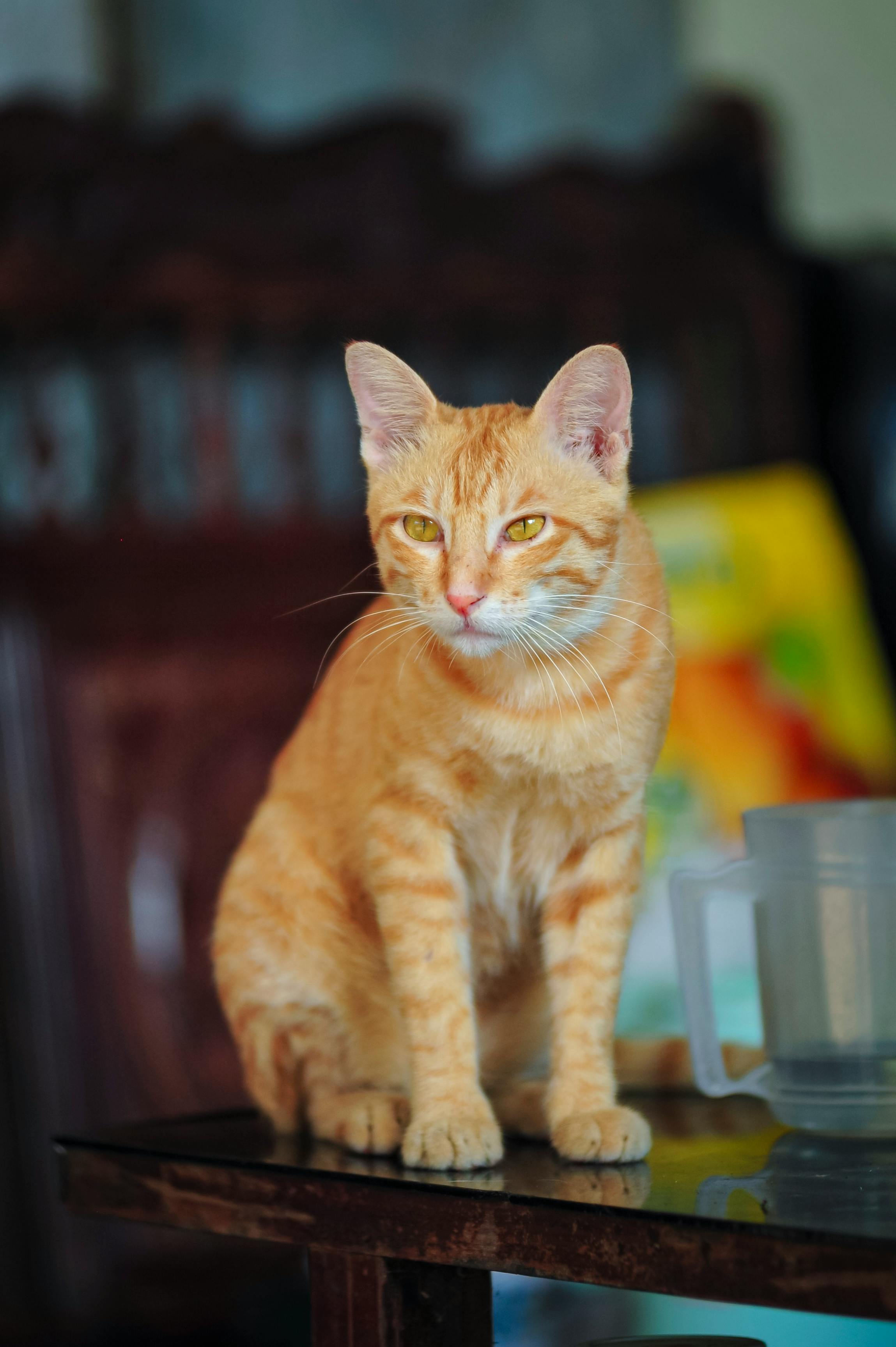 Randy+Dave+Cartoon+Drawings Photos, Download The BEST Free Randy+Dave ...