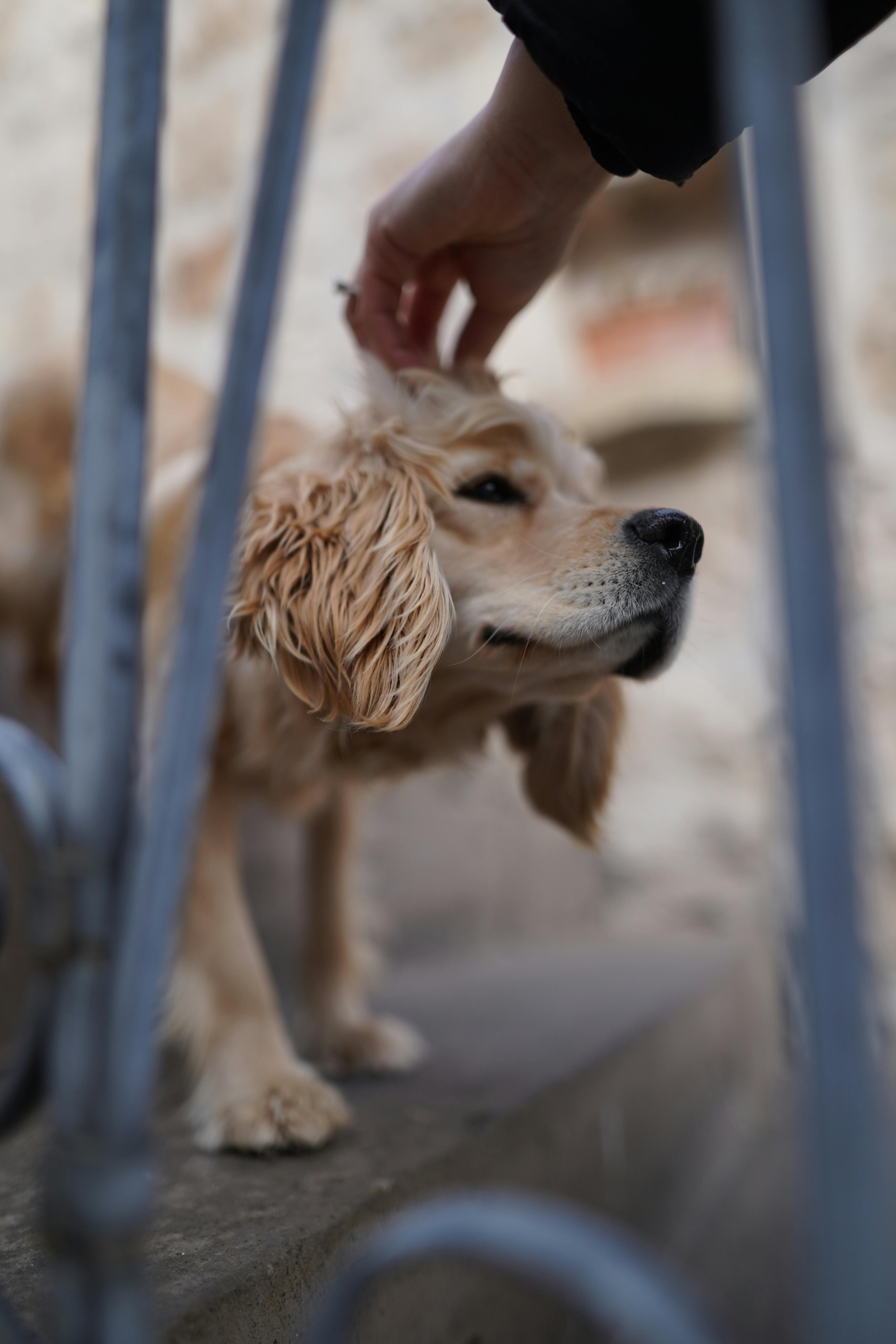 Best+Goon+Pictures Photos, Download The BEST Free Best+Goon+Pictures ...