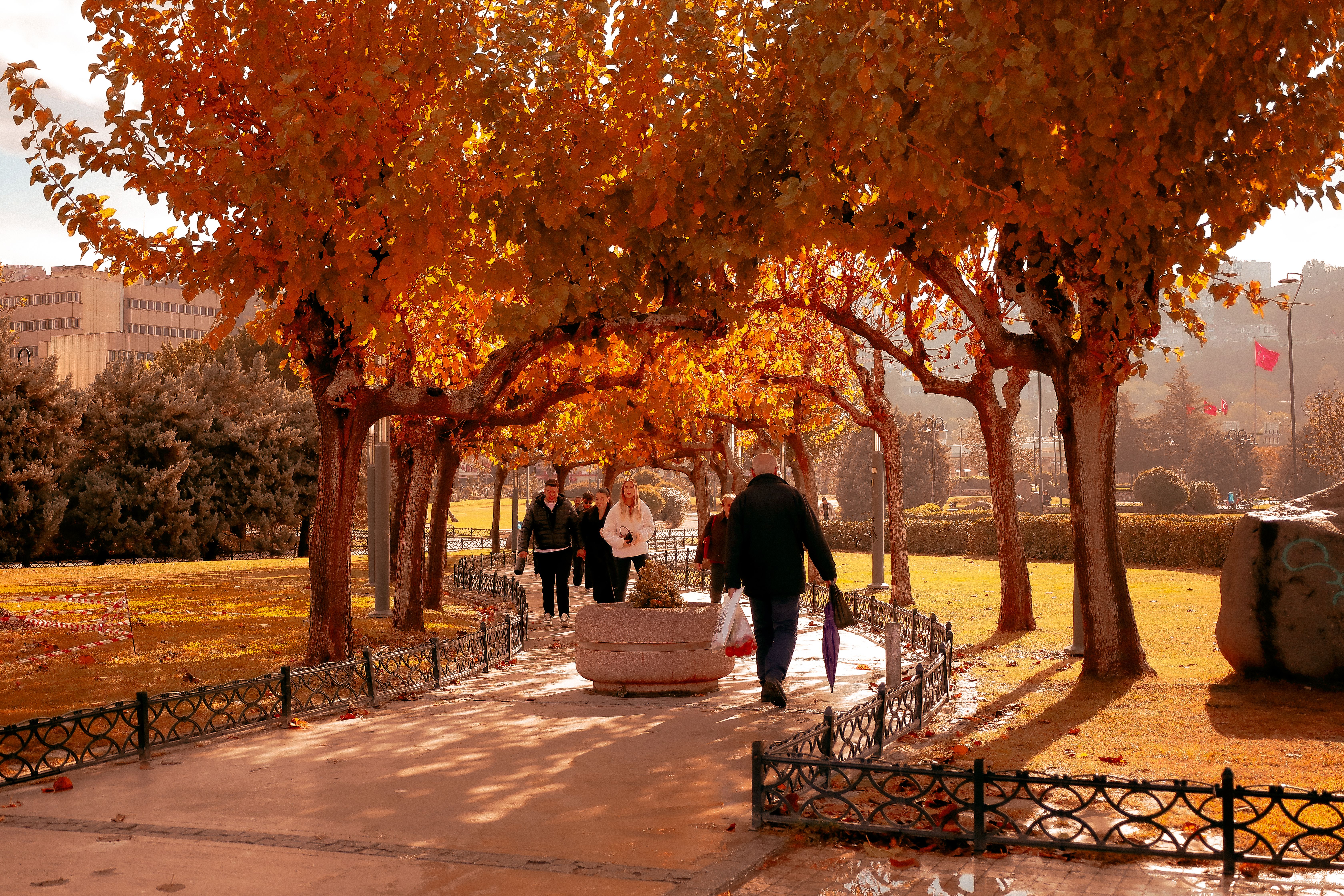 Autumn Stroll in a Park with Golden Foliage · Free Stock Photo