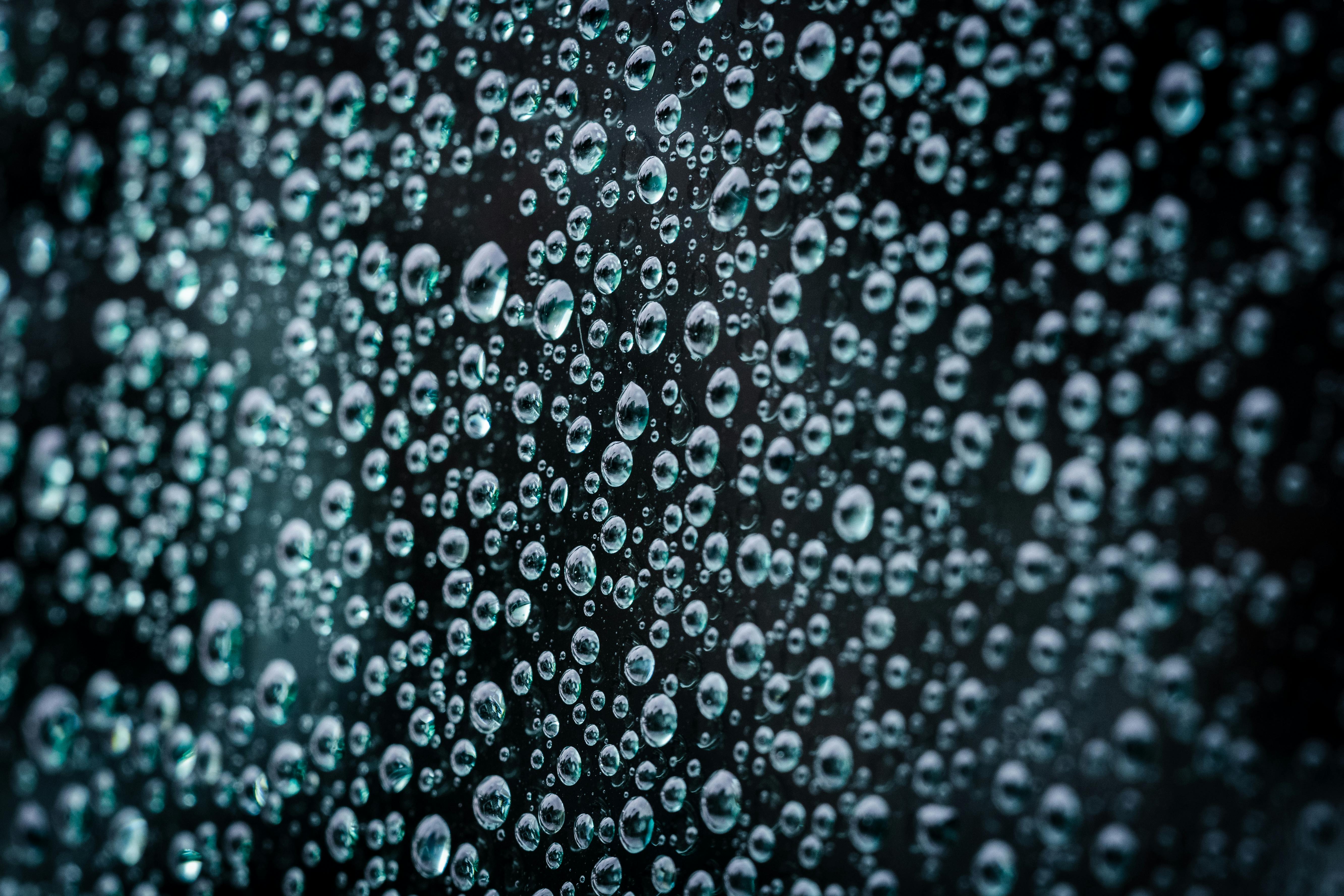 Transparency Photos, Download The BEST Free Transparency Stock Photos ...