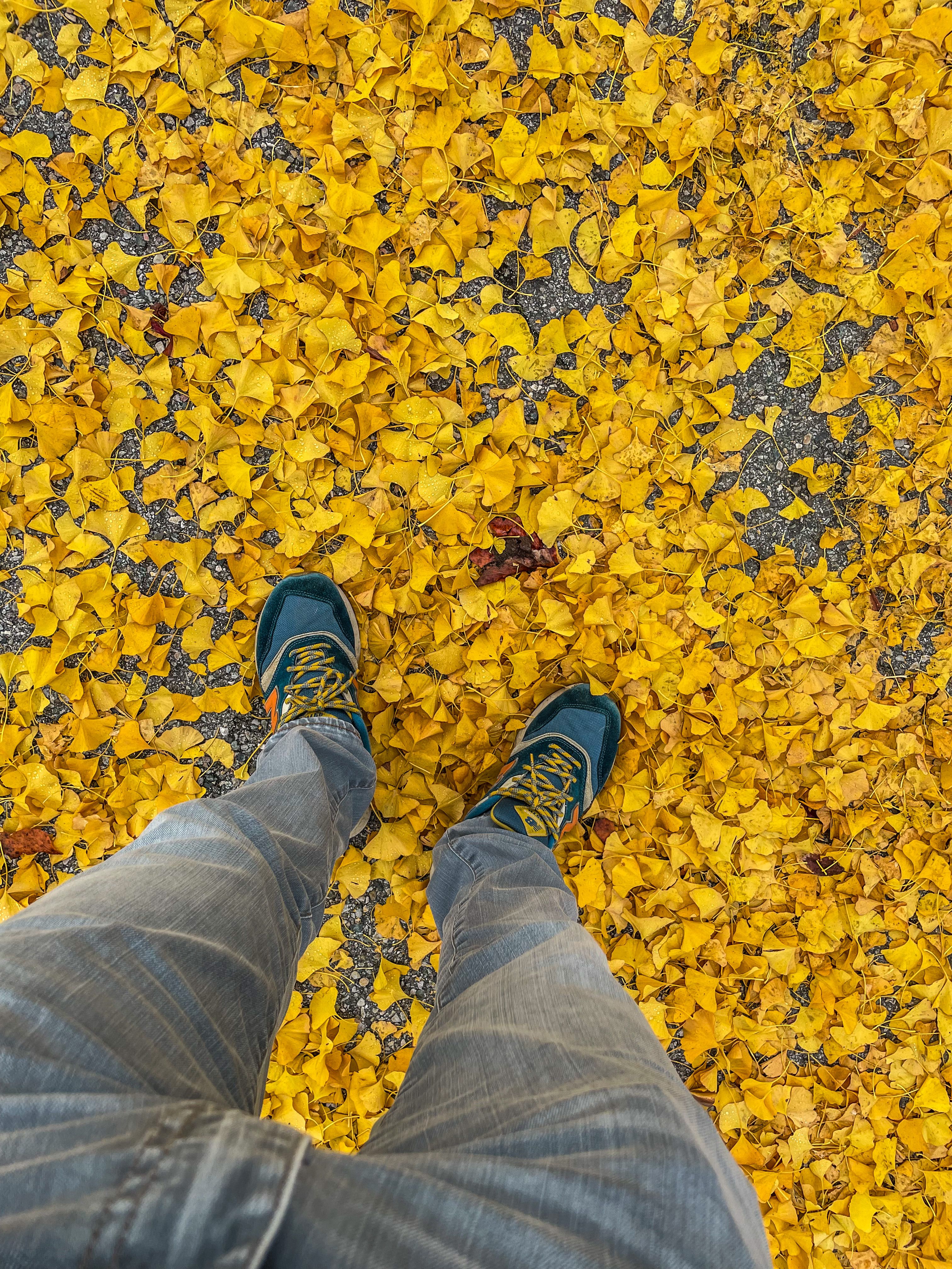 Kyle+Unfug+Feet Photos, Download The BEST Free Kyle+Unfug+Feet Stock ...