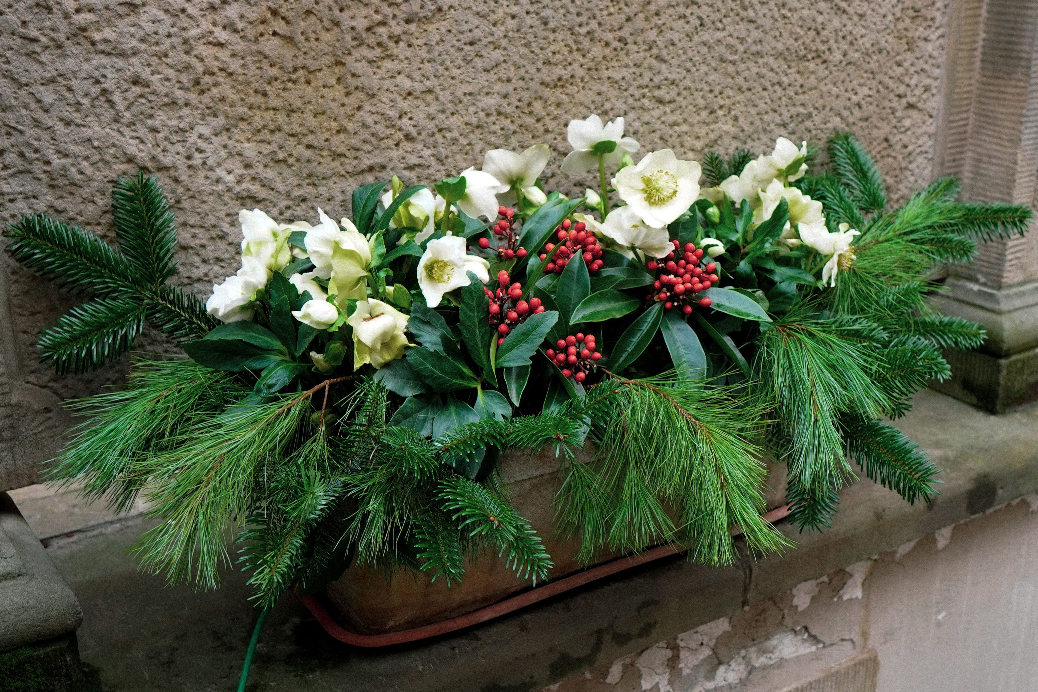 Christmas Decor Elements Photos, Download The BEST Free Christmas Decor ...