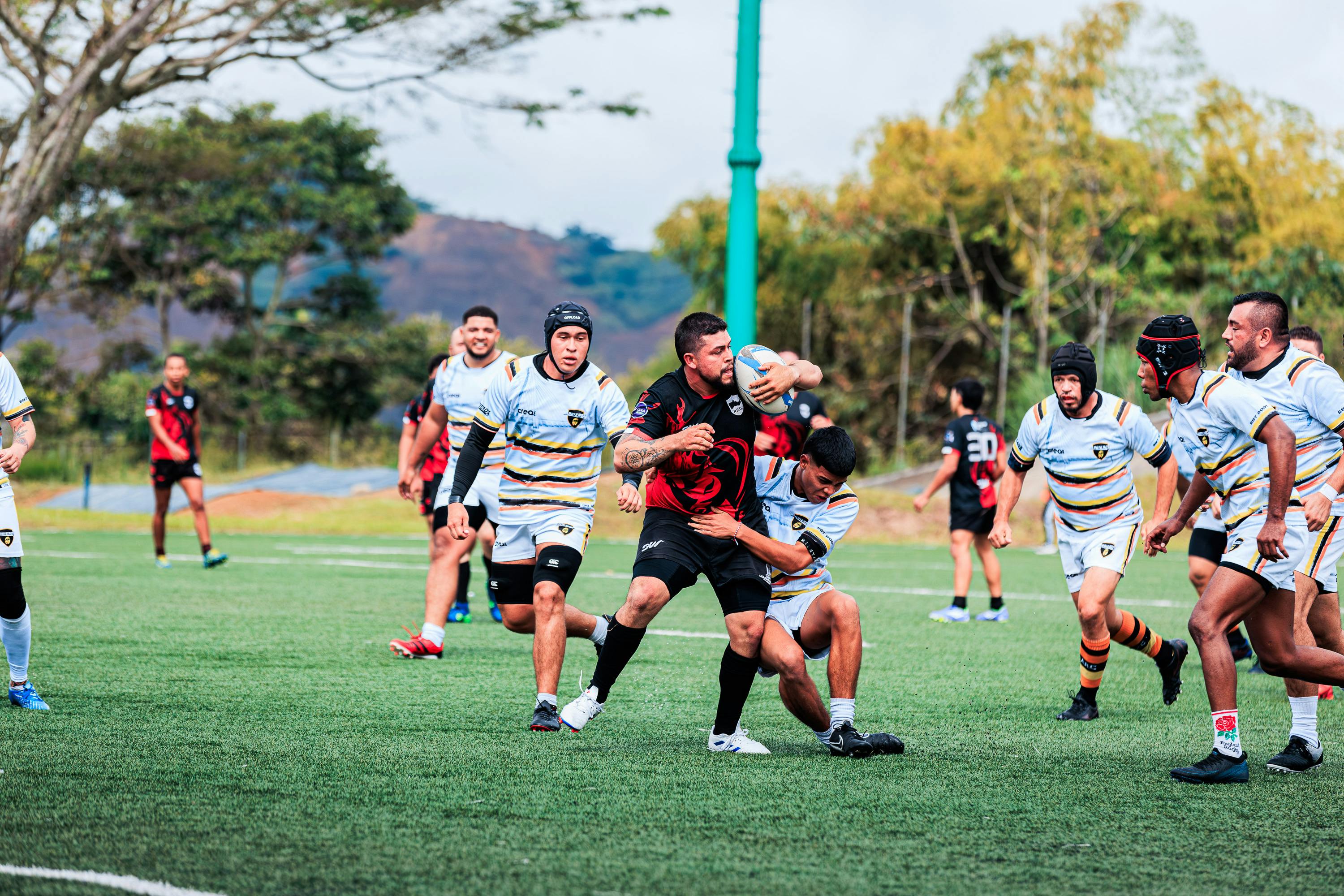 Netball Sport Photos, Download The BEST Free Netball Sport Stock Photos ...