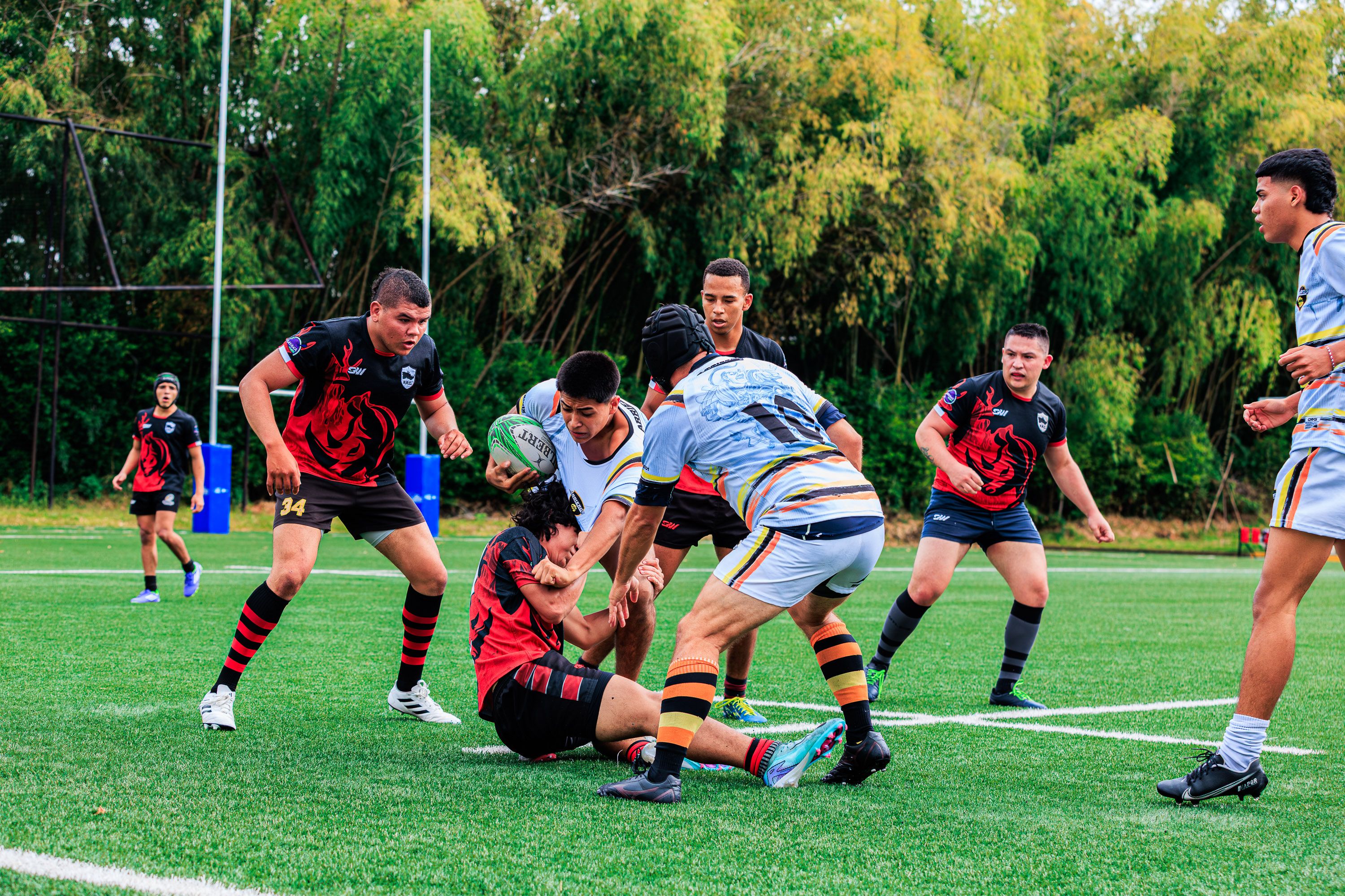 Sports Group Photos, Download The BEST Free Sports Group Stock Photos ...