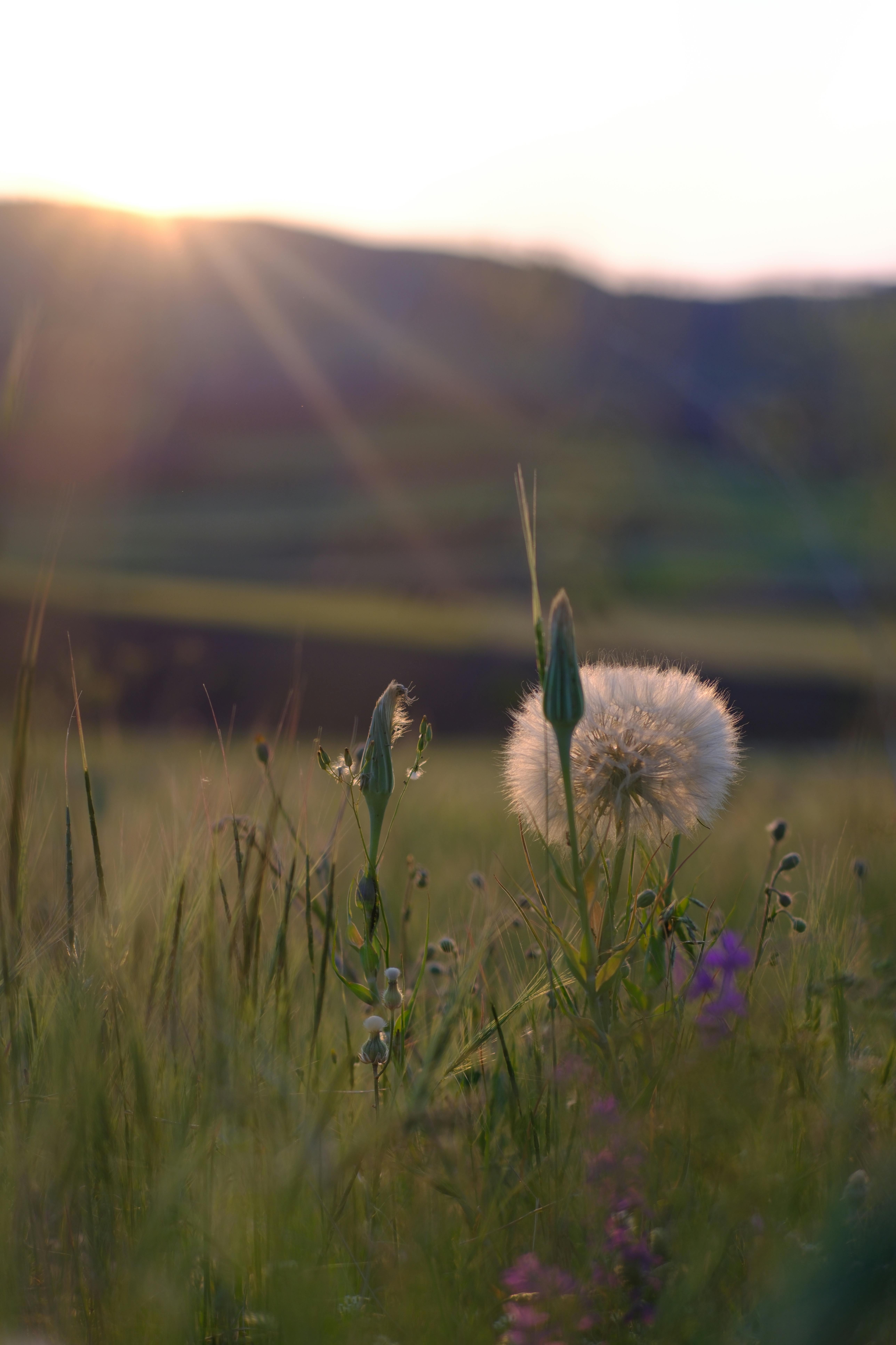 60.000+ melhores imagens de Wallpaper+bope · Download 100% grátis ...