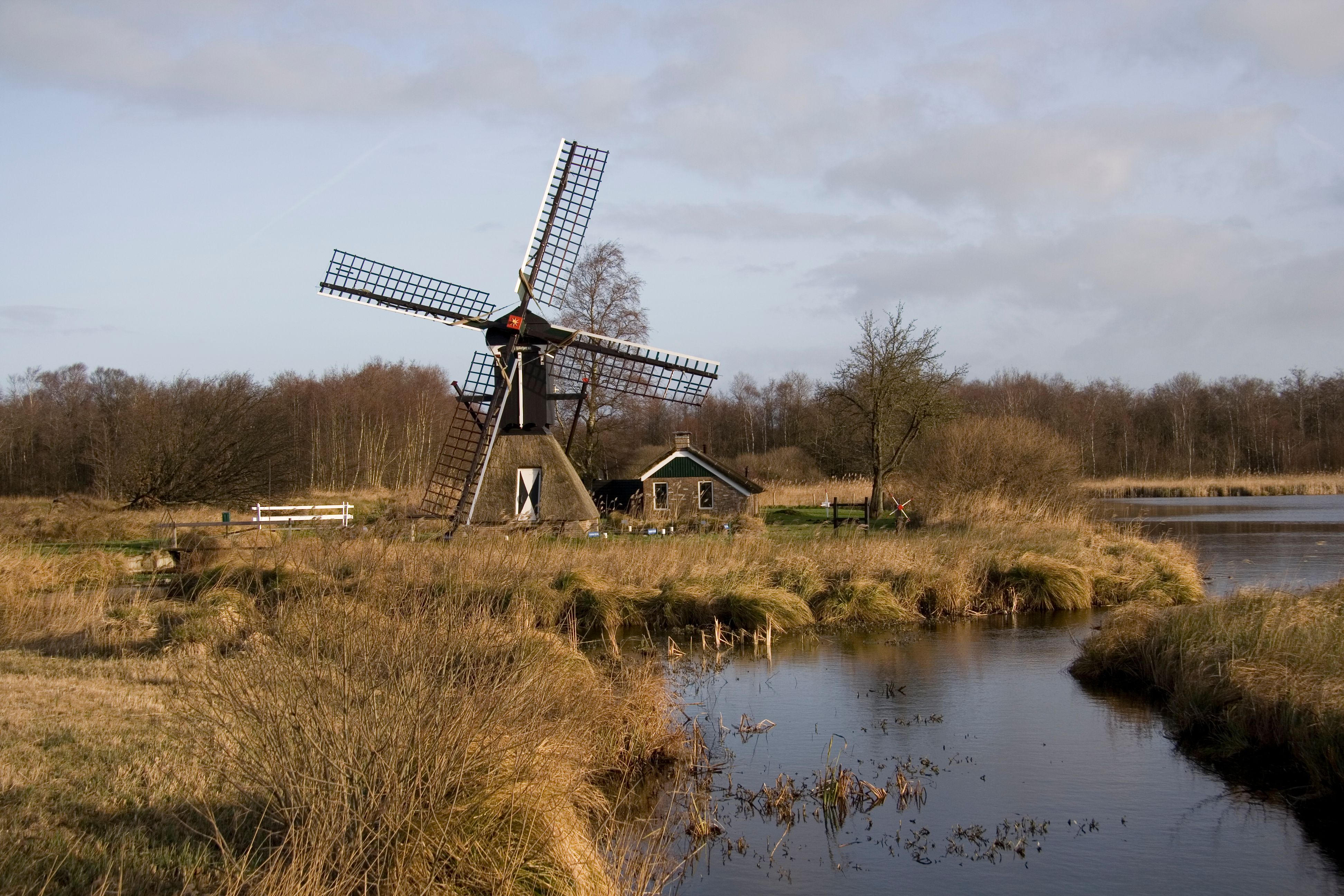 Traditional Dutch Windmill by a Riverbank · Free Stock Photo