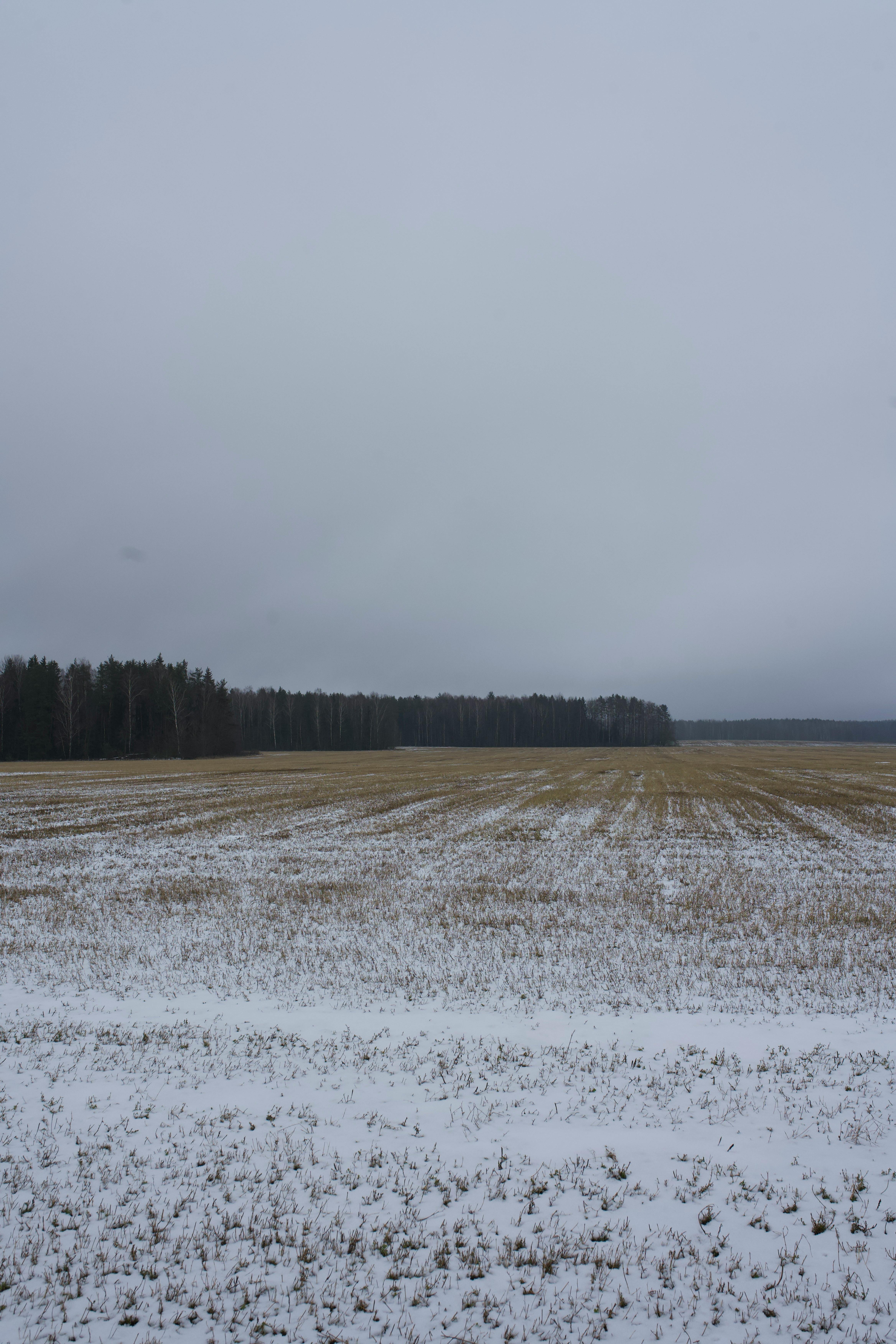 Chill+Pfps Photos, Download The BEST Free Chill+Pfps Stock Photos & HD ...