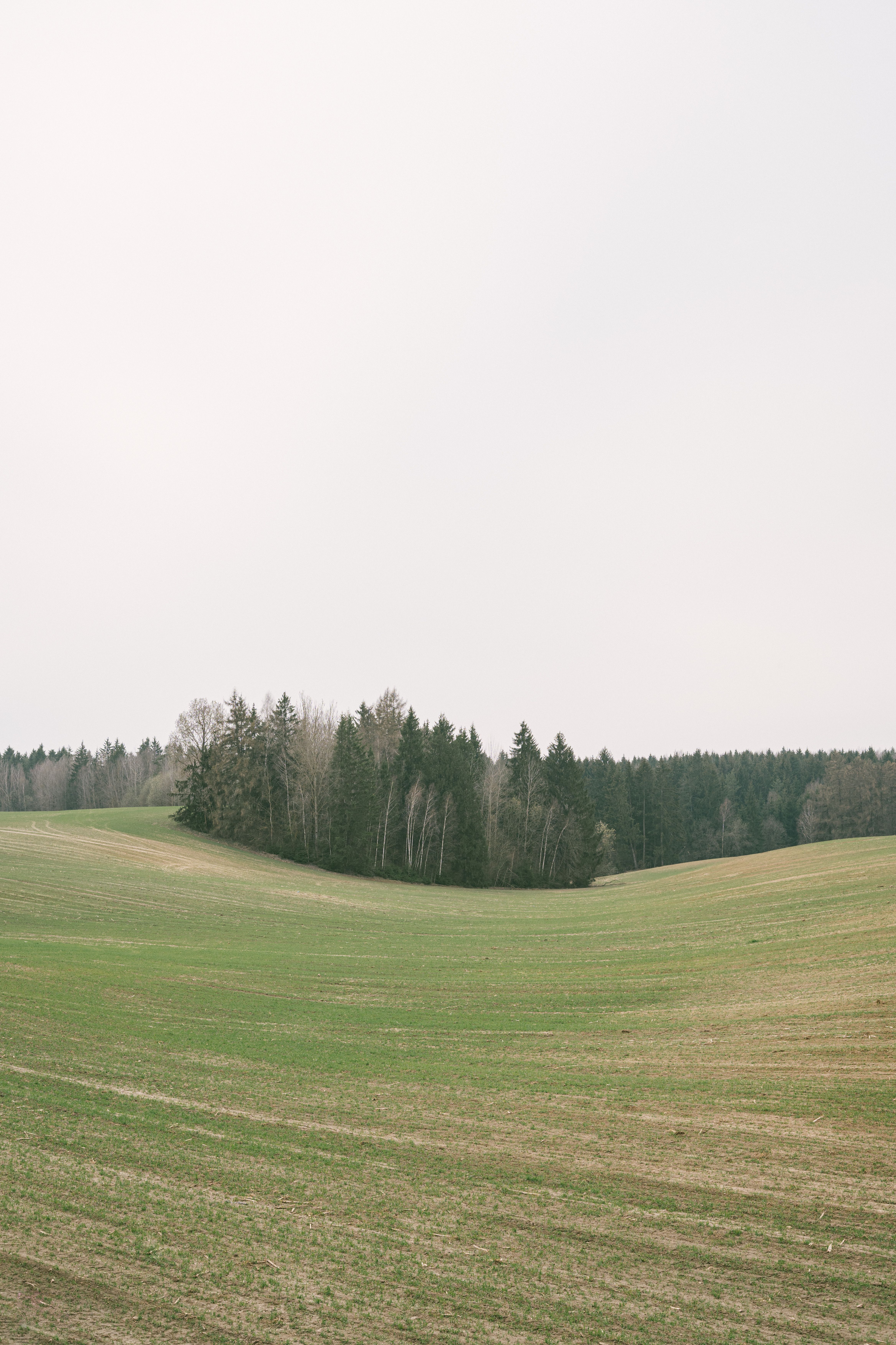 Rolling Fields and Forest in Mogilev Region · Free Stock Photo