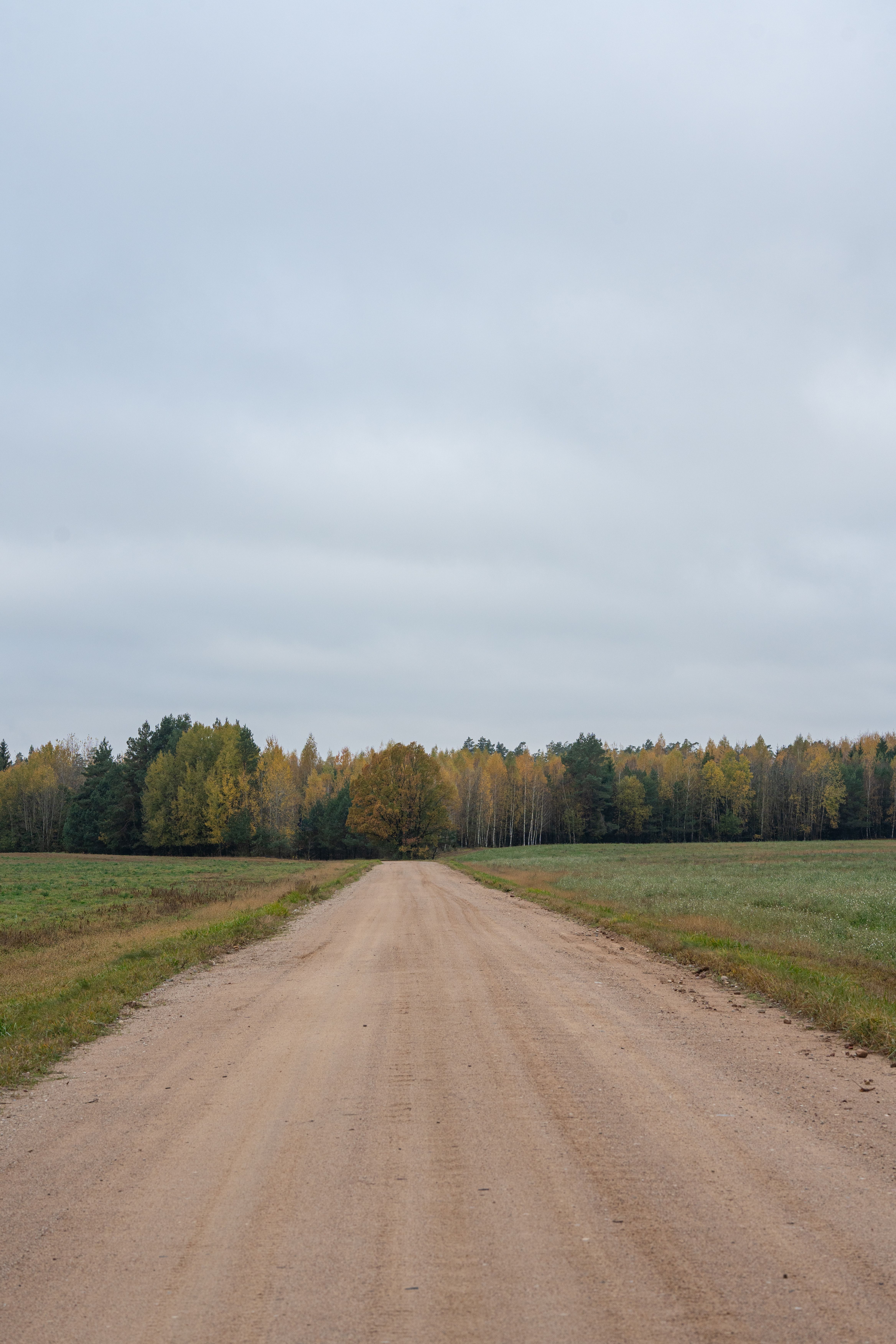Serene Country Road in Autumn Landscape · Free Stock Photo