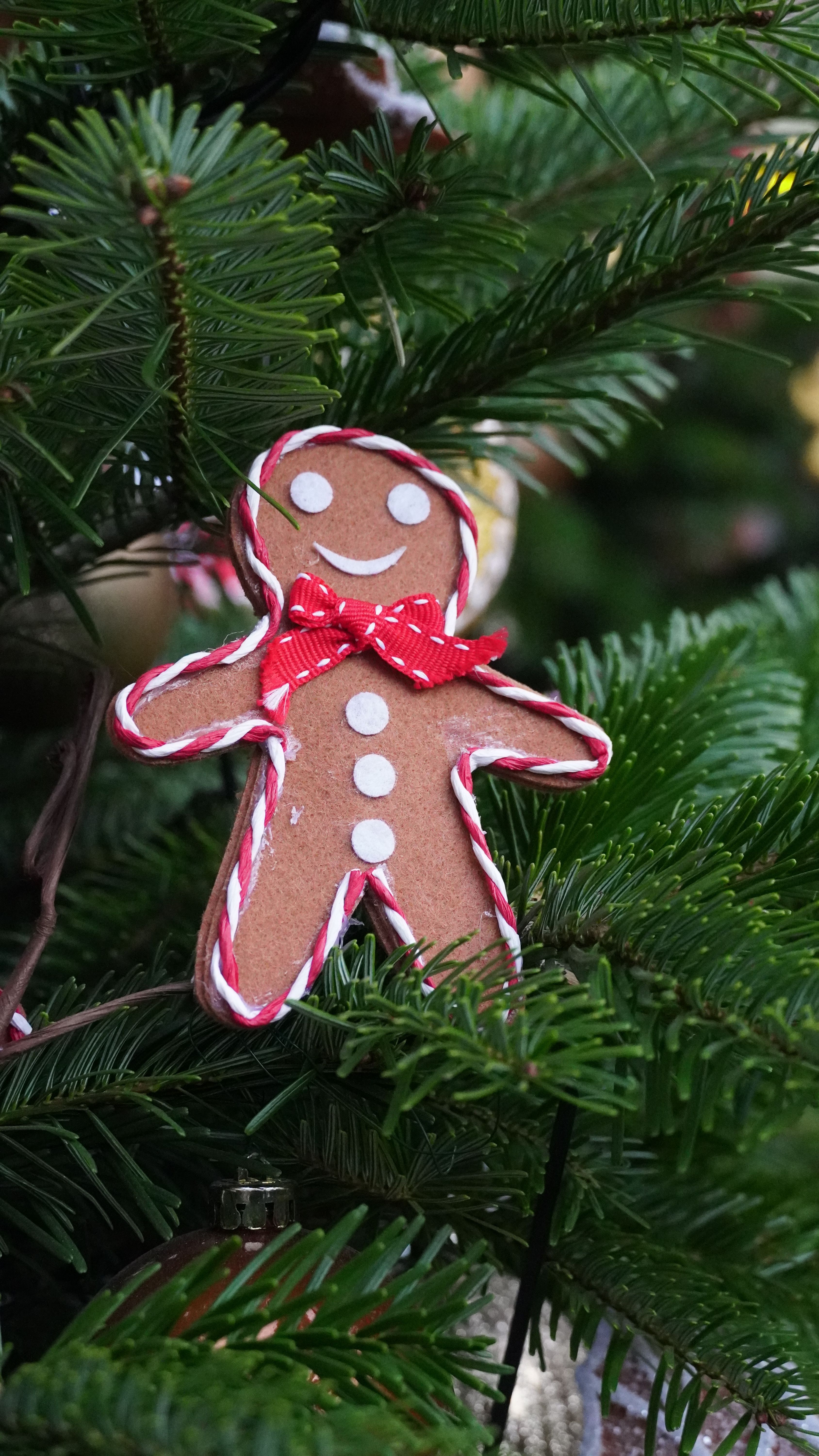 Gingerbread Man Photos, Download The BEST Free Gingerbread Man Stock ...