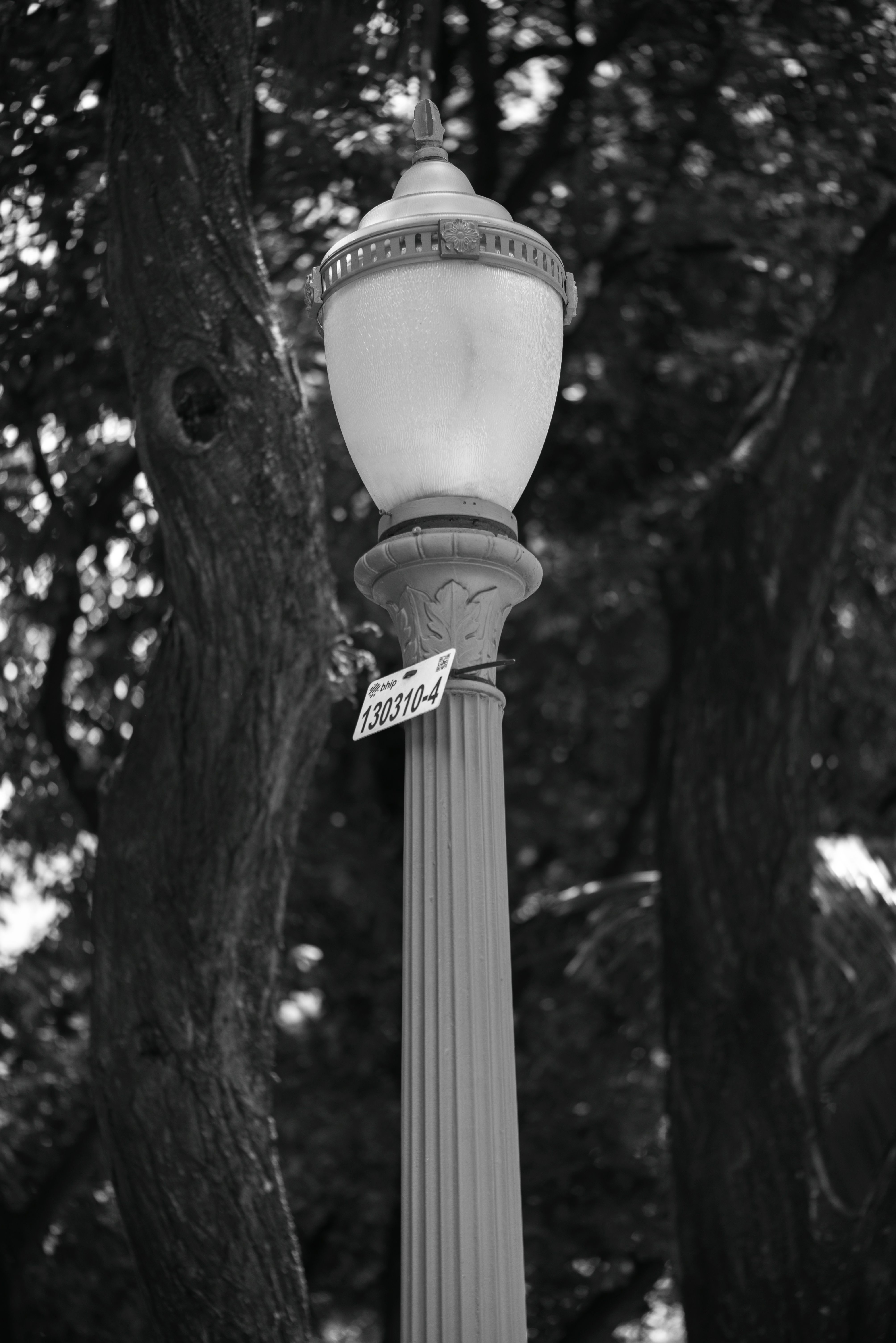Vintage Street Lamp in Belo Horizonte Park · Free Stock Photo