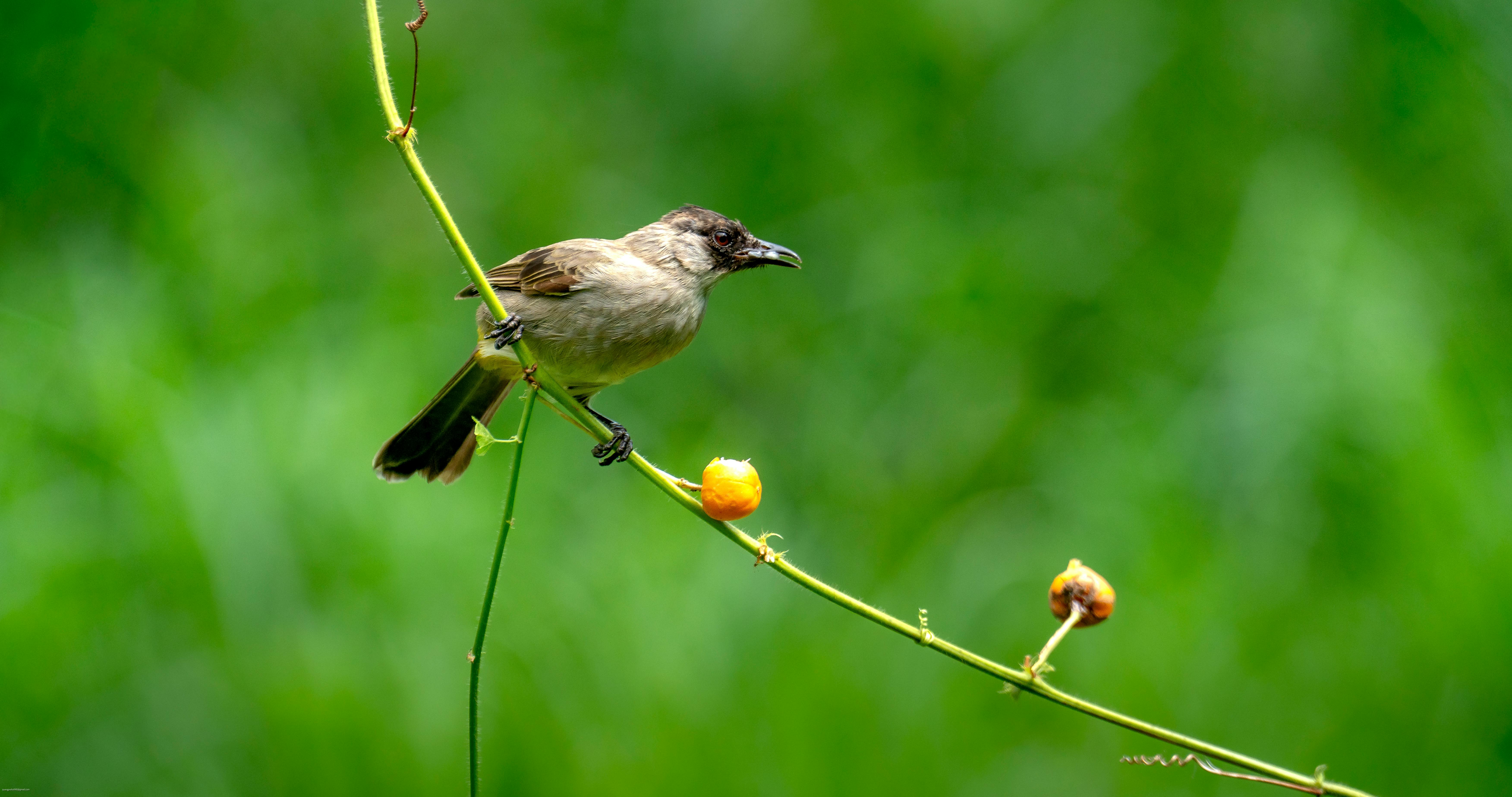 Behavior Photos, Download The BEST Free Behavior Stock Photos & HD Images