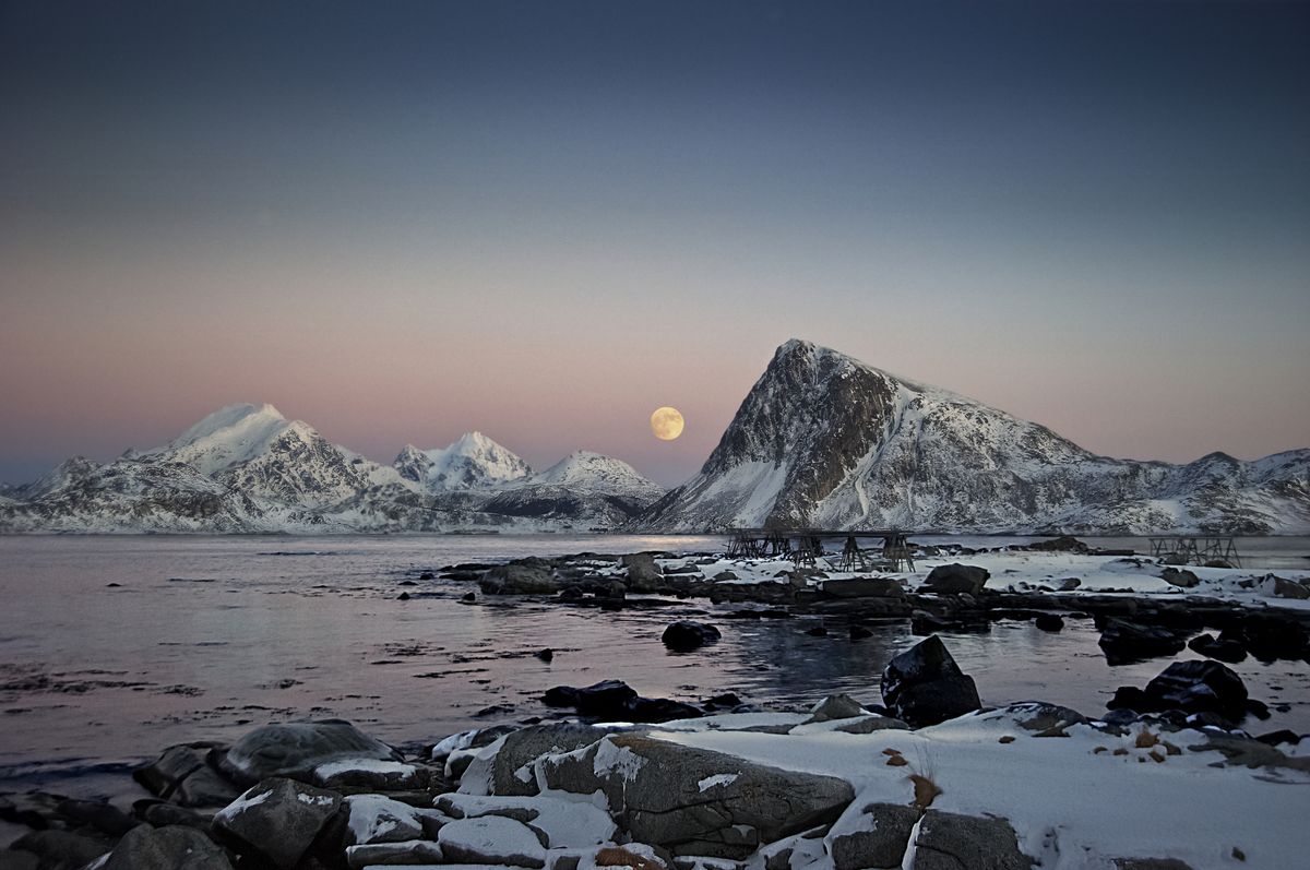 Arctic Photos, Download The BEST Free Arctic Stock Photos & HD Images