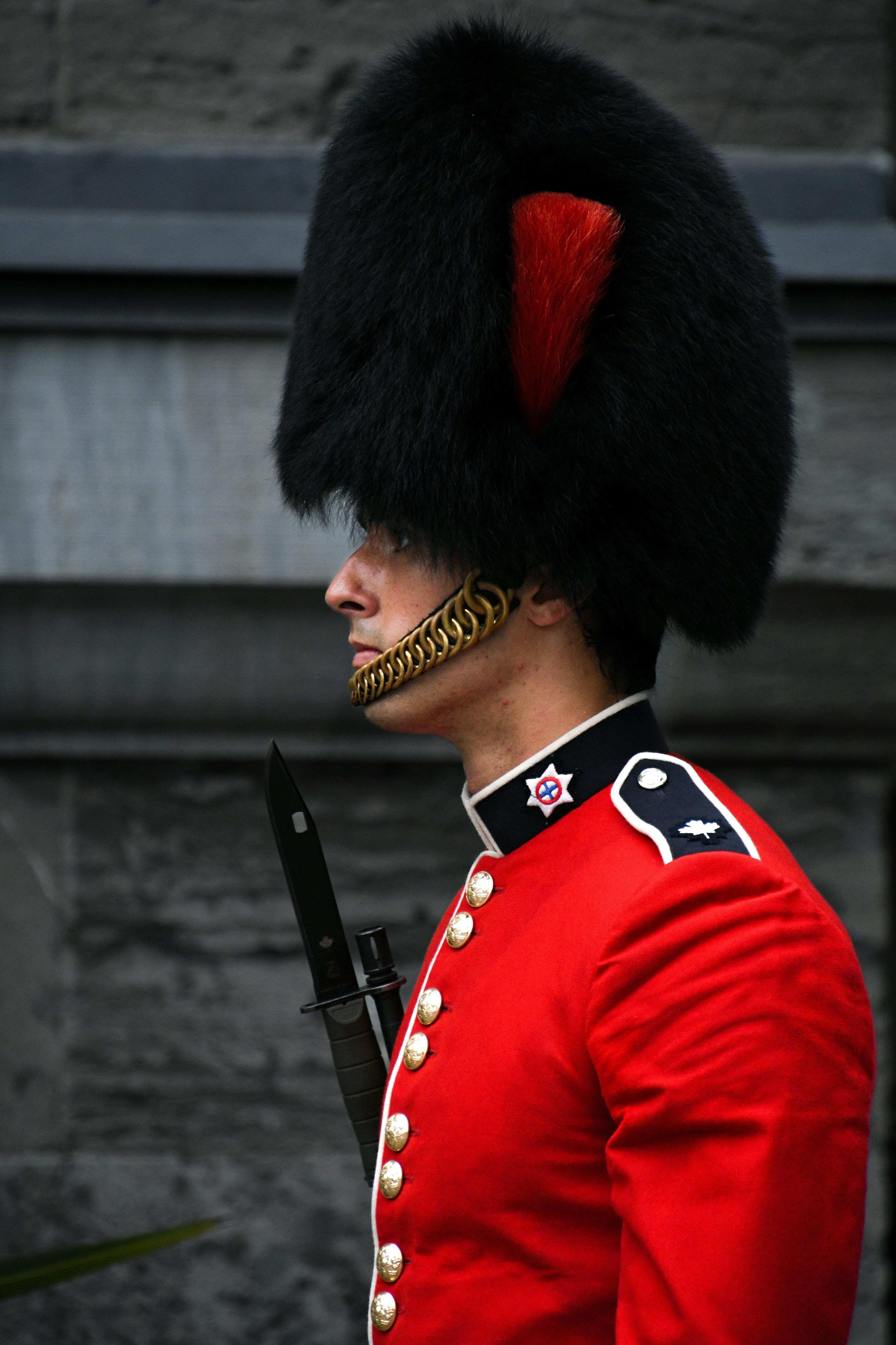 Canadian Ceremonial Guard in Traditional Uniform · Free Stock Photo