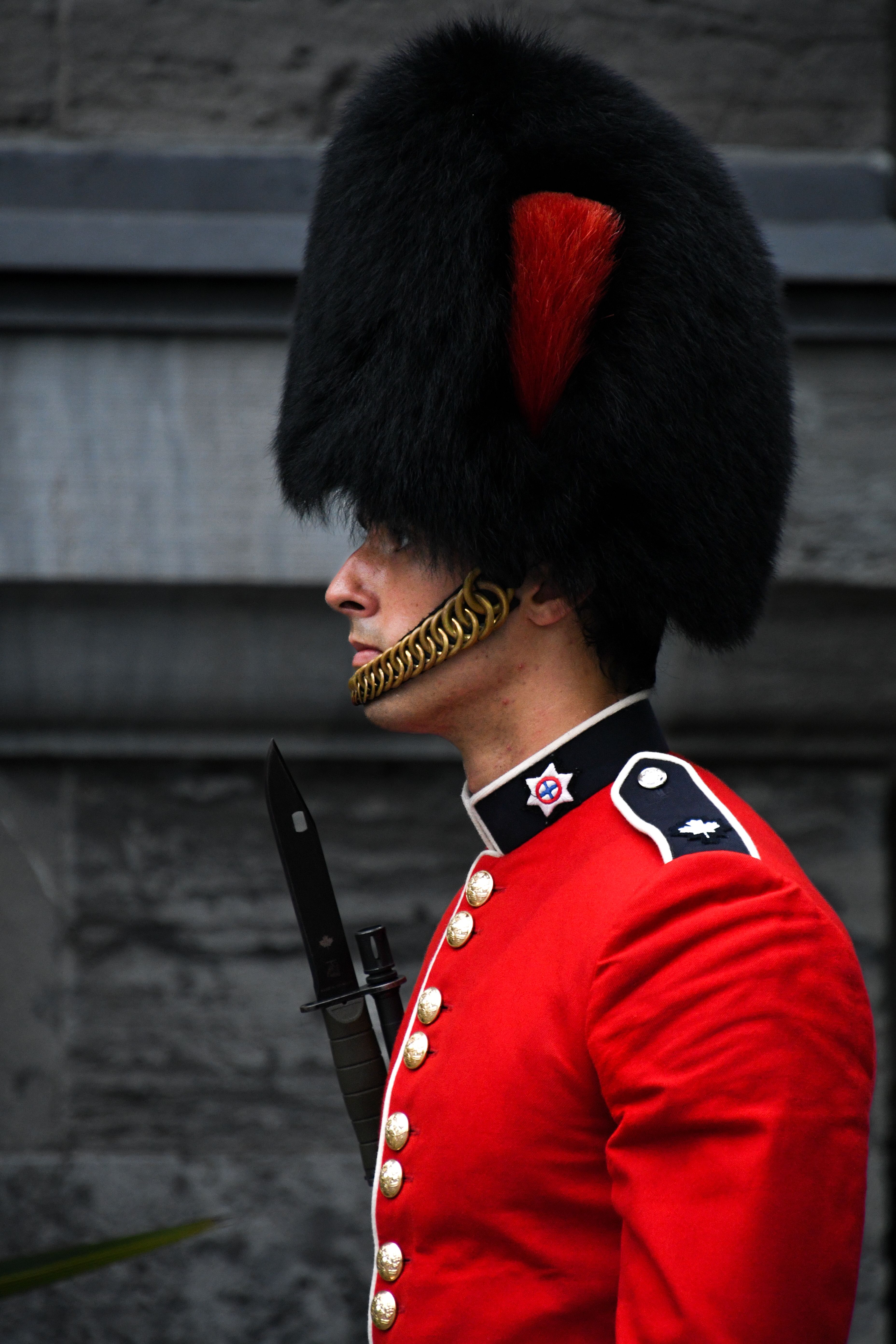 Canadian Ceremonial Guard in Traditional Uniform · Free Stock Photo