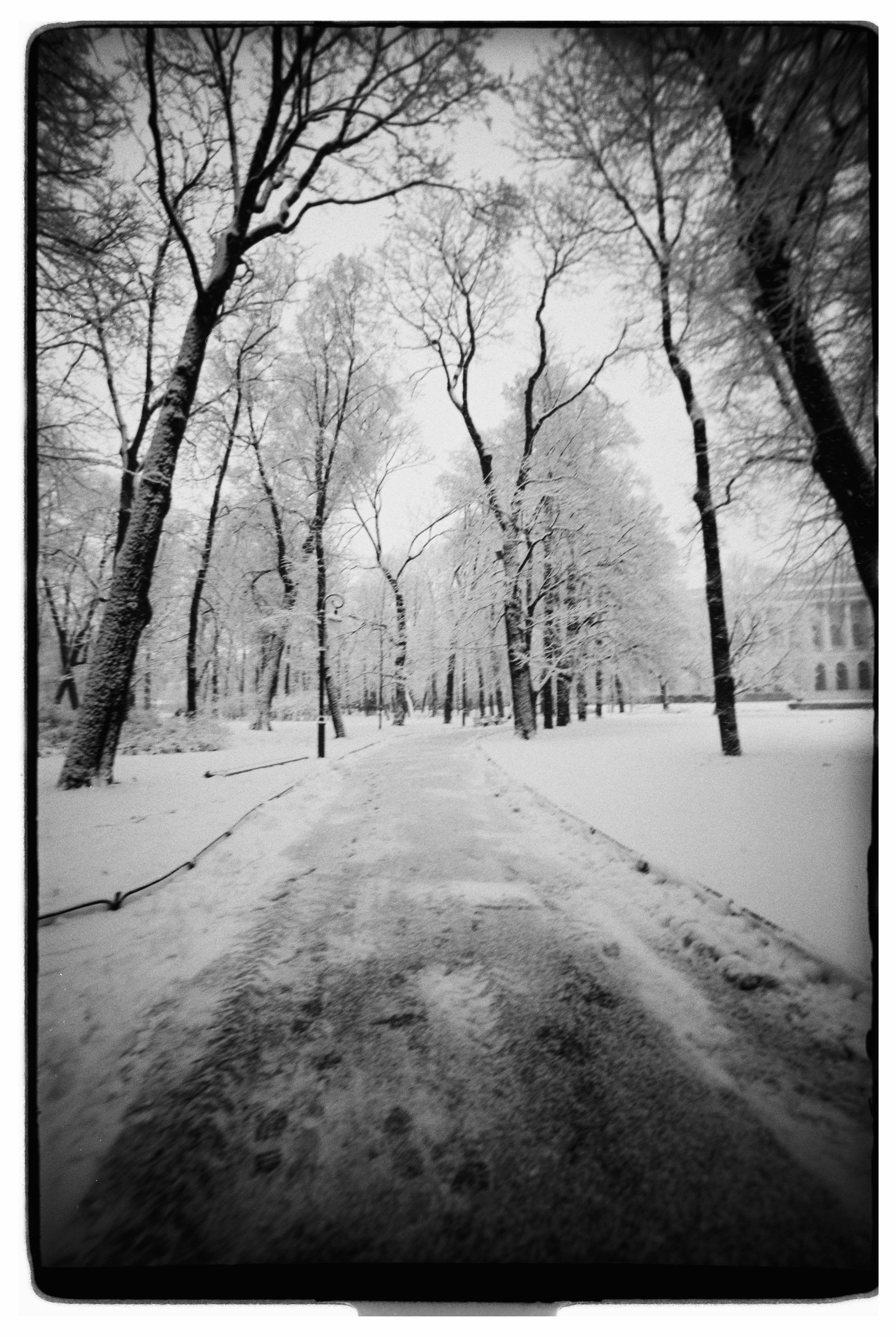 Winter Path Through Snow-Covered Park · Free Stock Photo