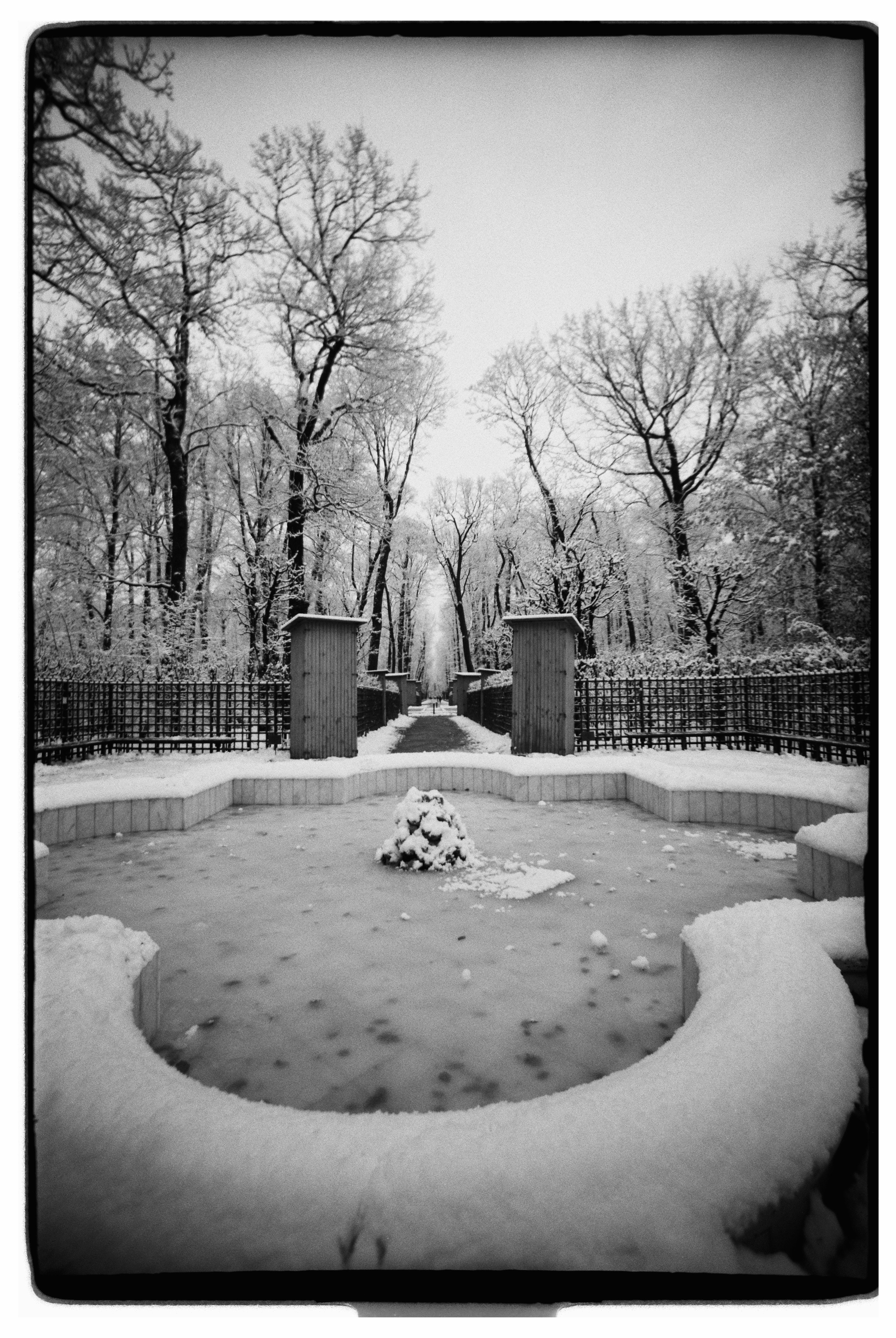 Snowy Winter Garden Path in Black and White · Free Stock Photo