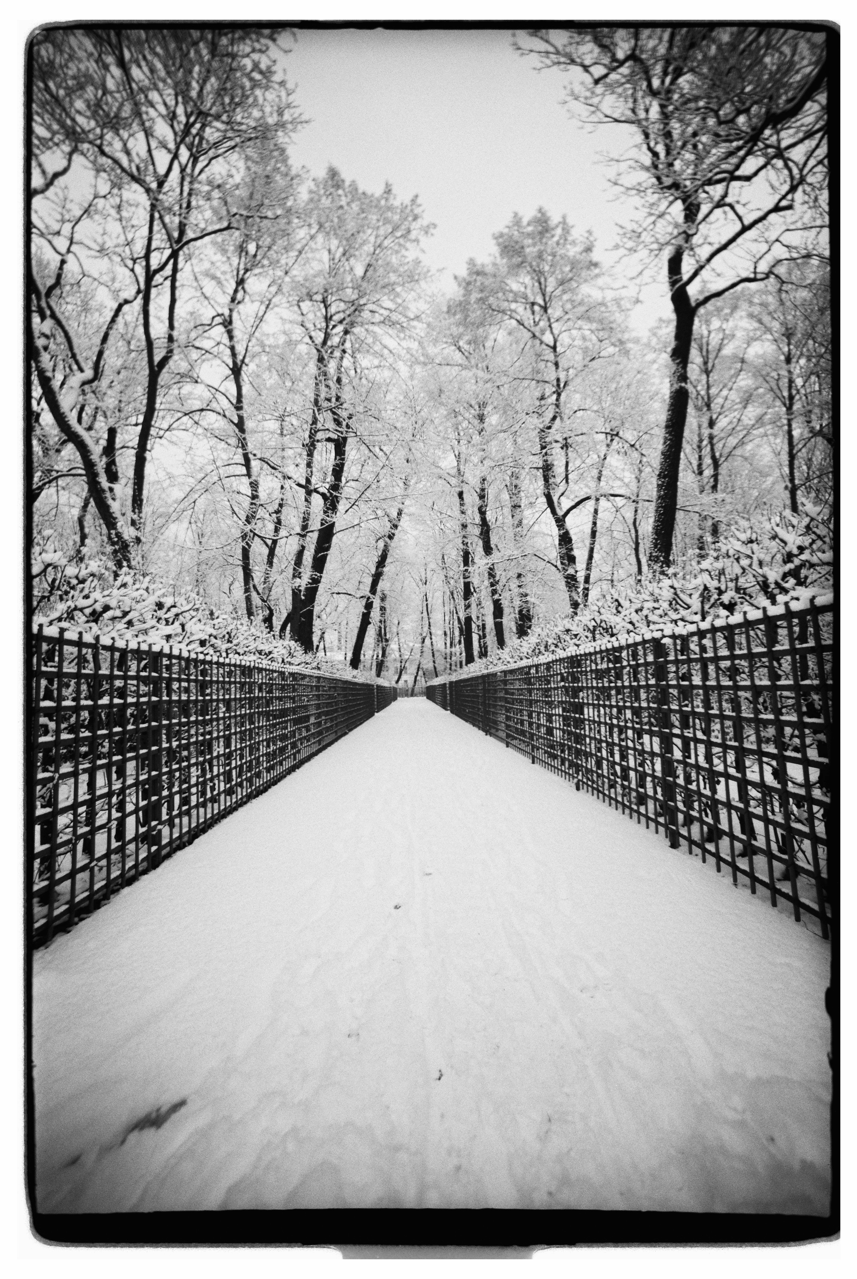 Chill+Pfps Photos, Download The BEST Free Chill+Pfps Stock Photos & HD ...