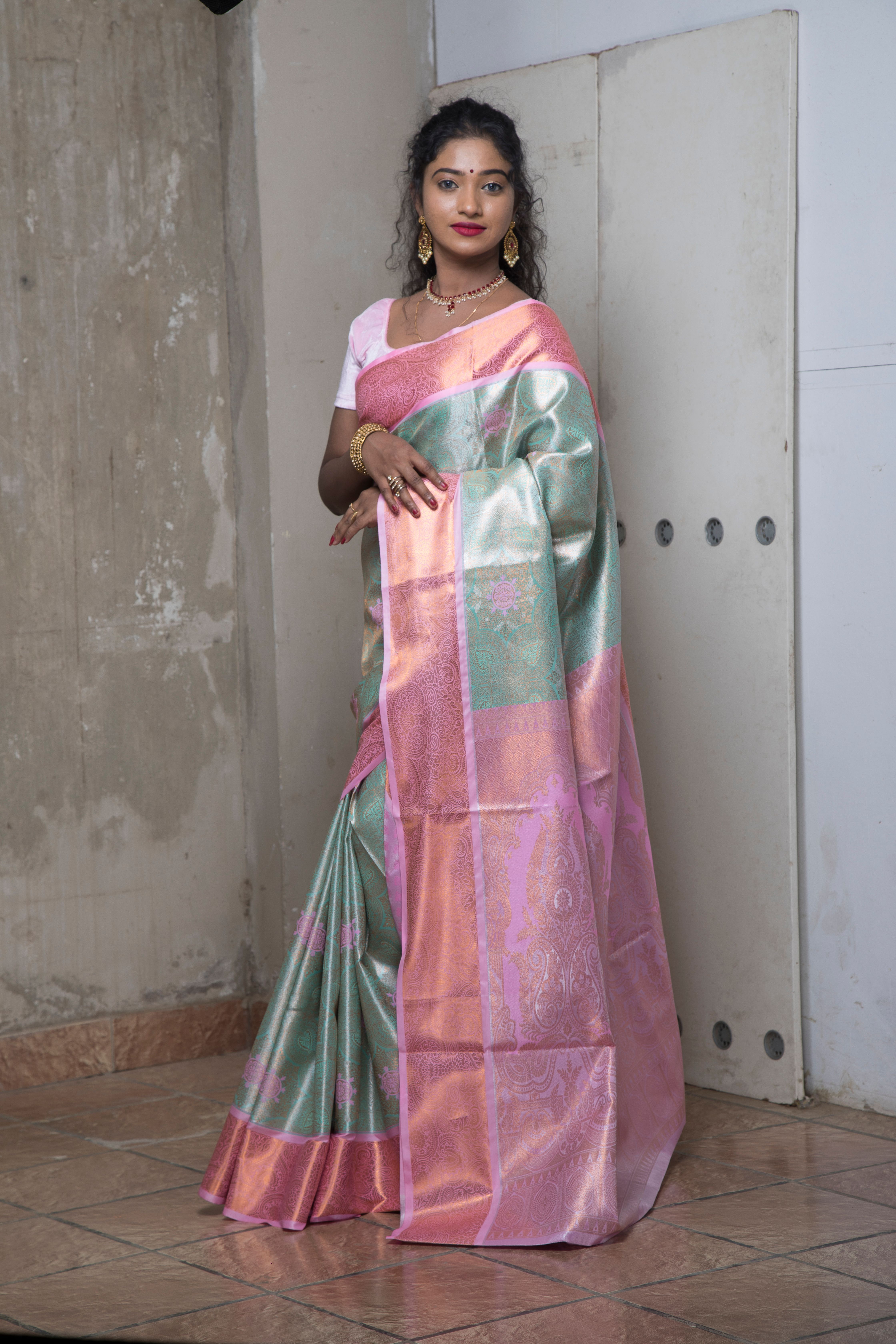 Indian Shopping Model Photos, Download The BEST Free Indian Shopping ...