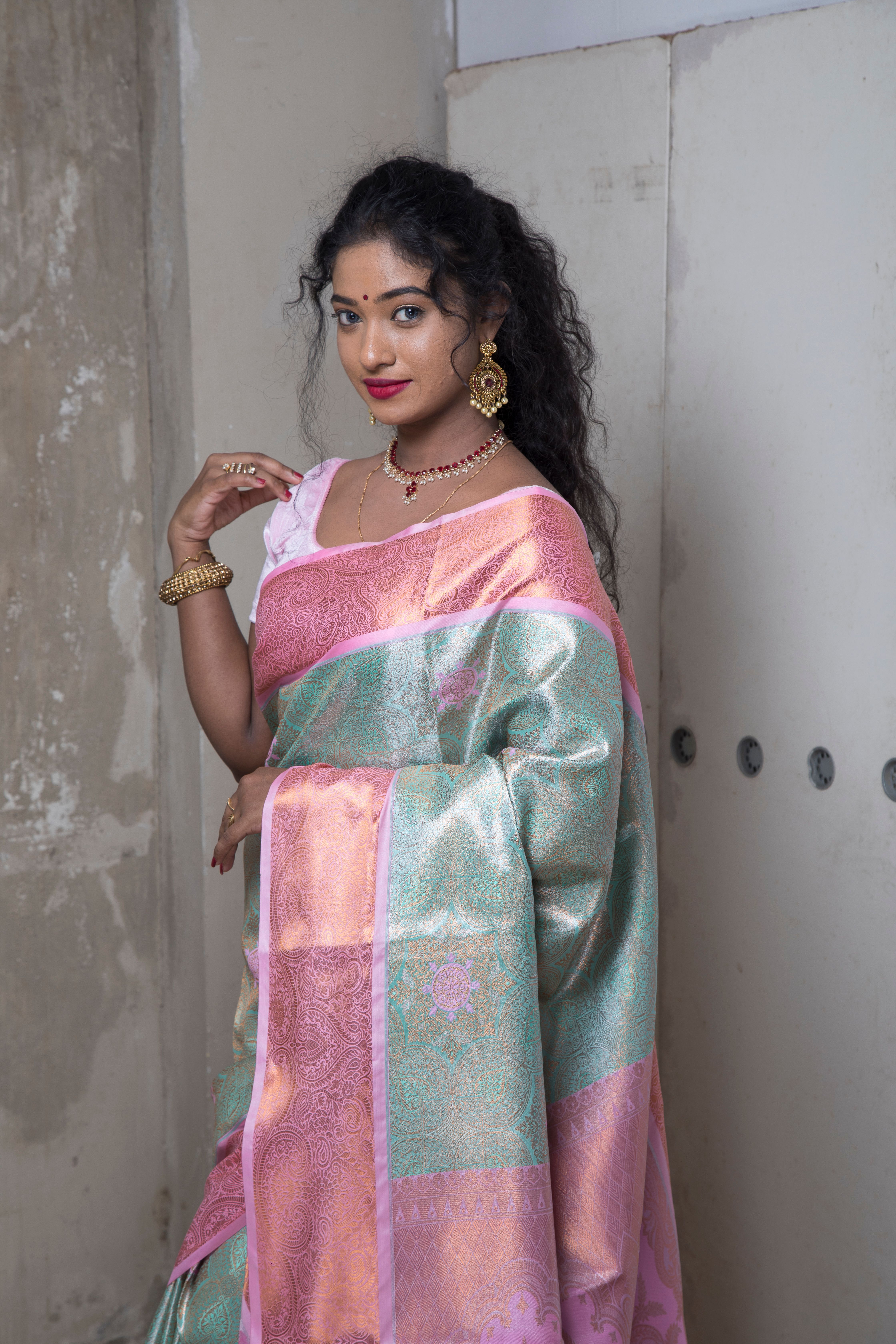 Indian Shopping Model Photos, Download The BEST Free Indian Shopping ...