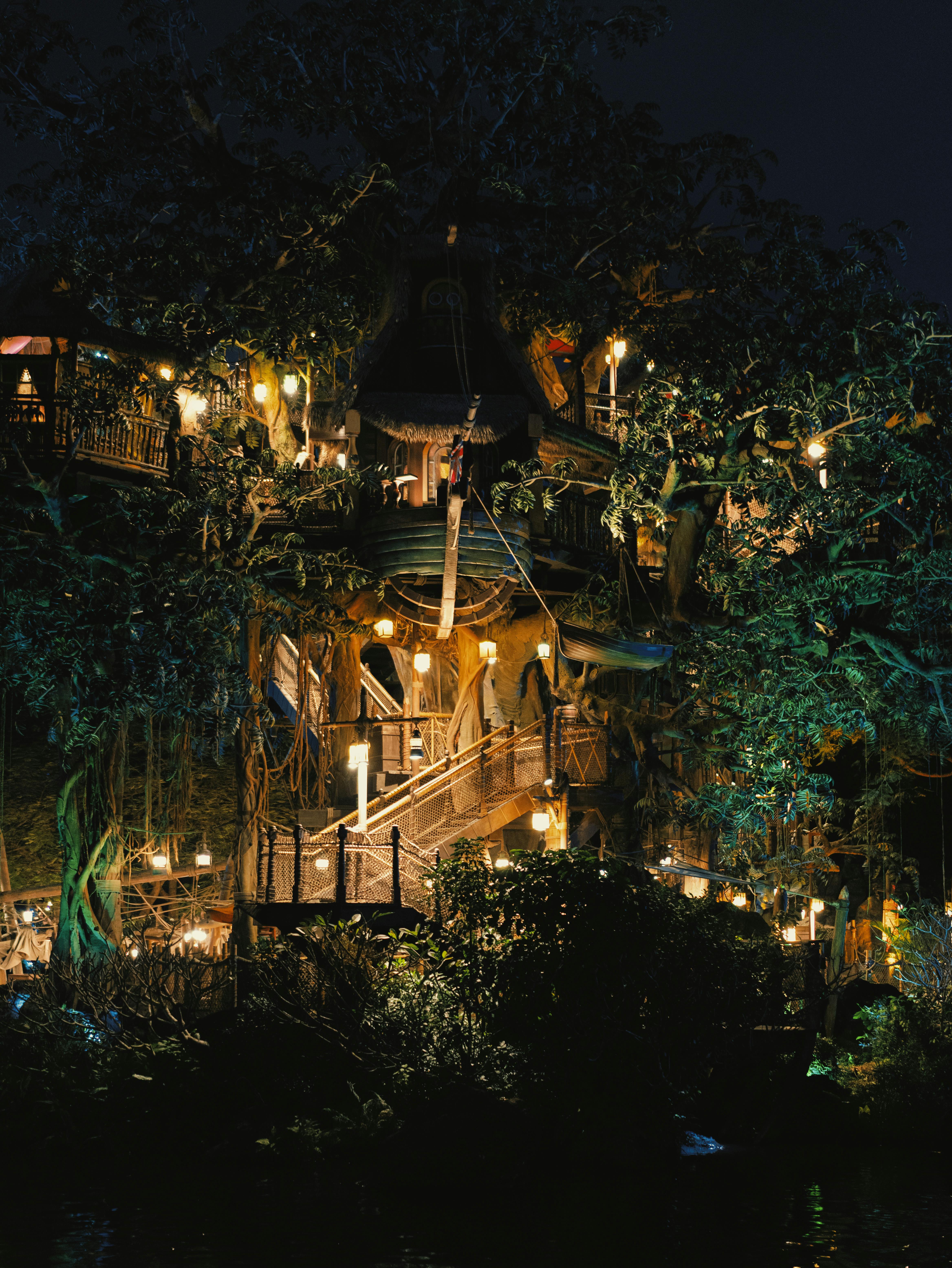 Ambient Photos, Download The BEST Free Ambient Stock Photos & HD Images