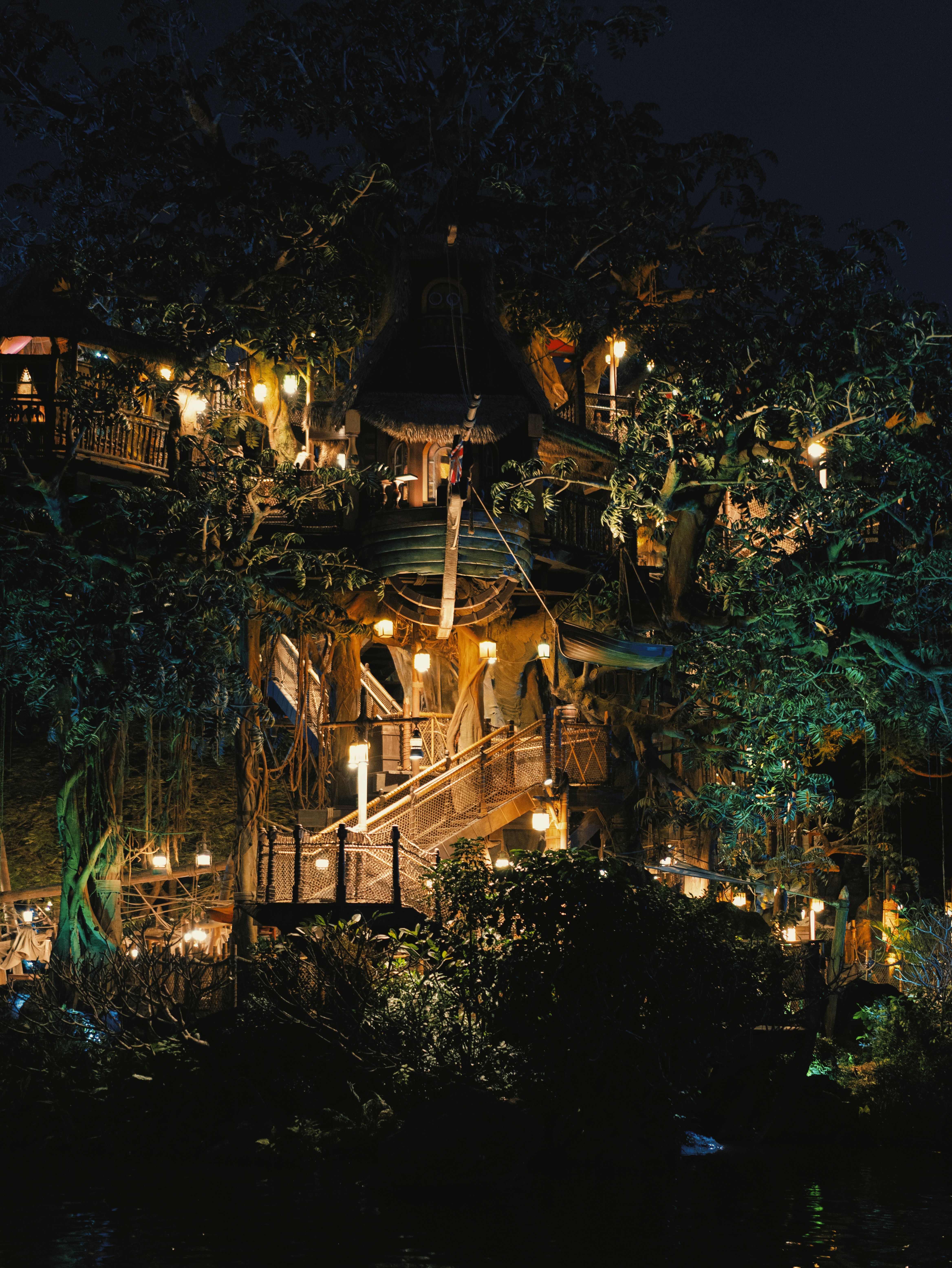 Magical Treehouse Lit Up at Night · Free Stock Photo