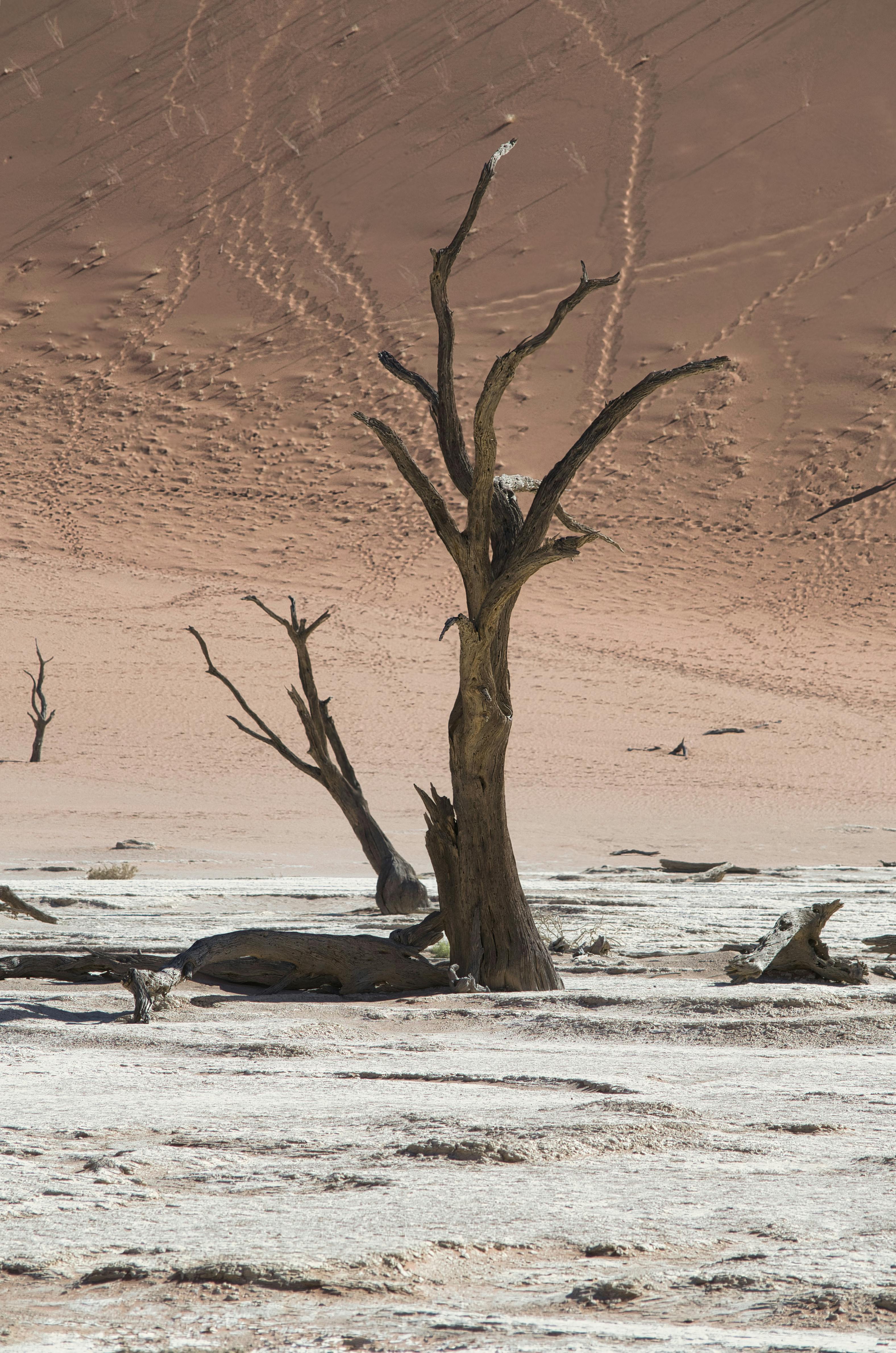 Legacy Photos, Download The BEST Free Legacy Stock Photos & HD Images