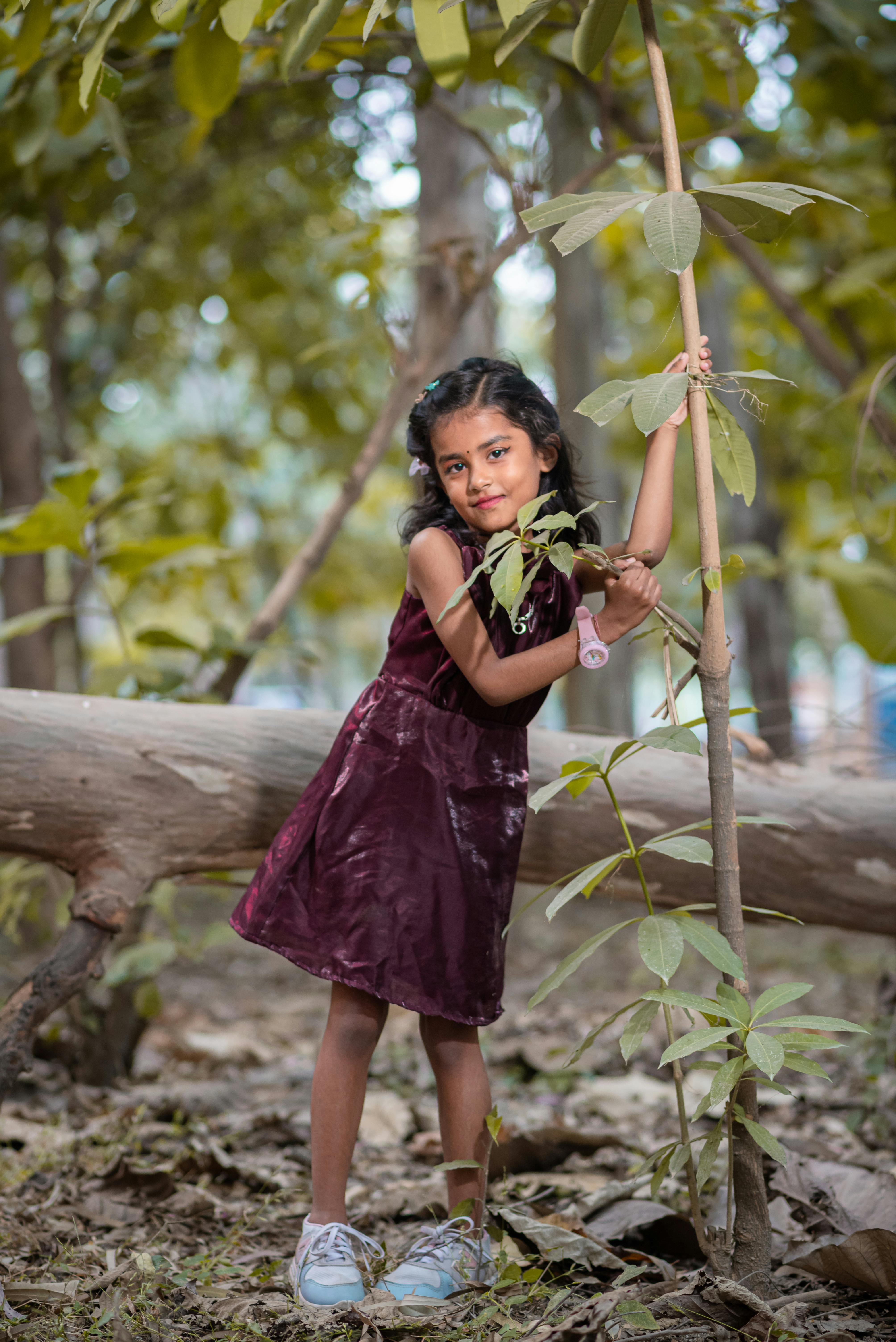 Preamble Of Indian Constitution Photos, Download The BEST Free Preamble ...