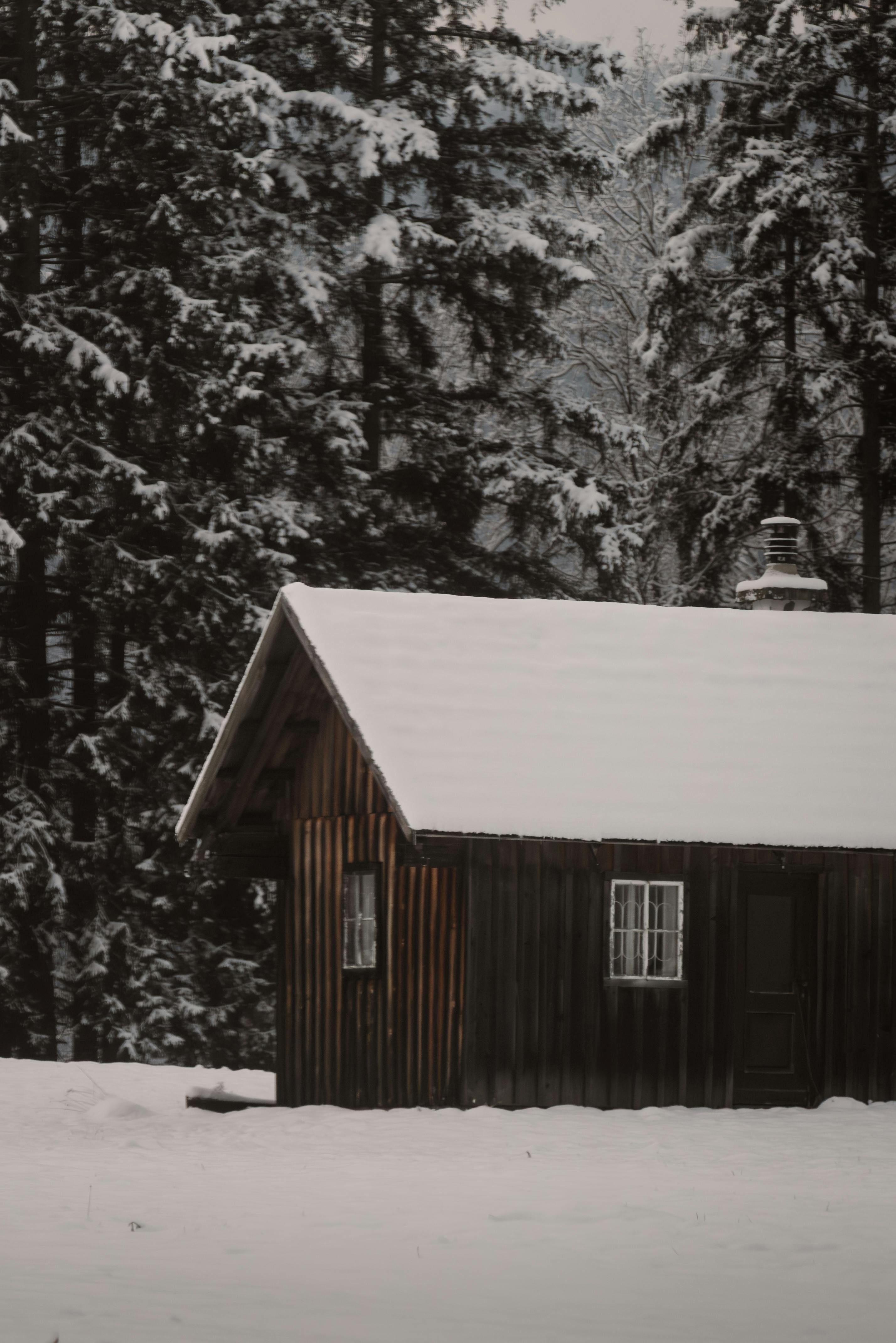 4k Wallpaper Nazi Hitler Photos, Download The BEST Free 4k Wallpaper ...