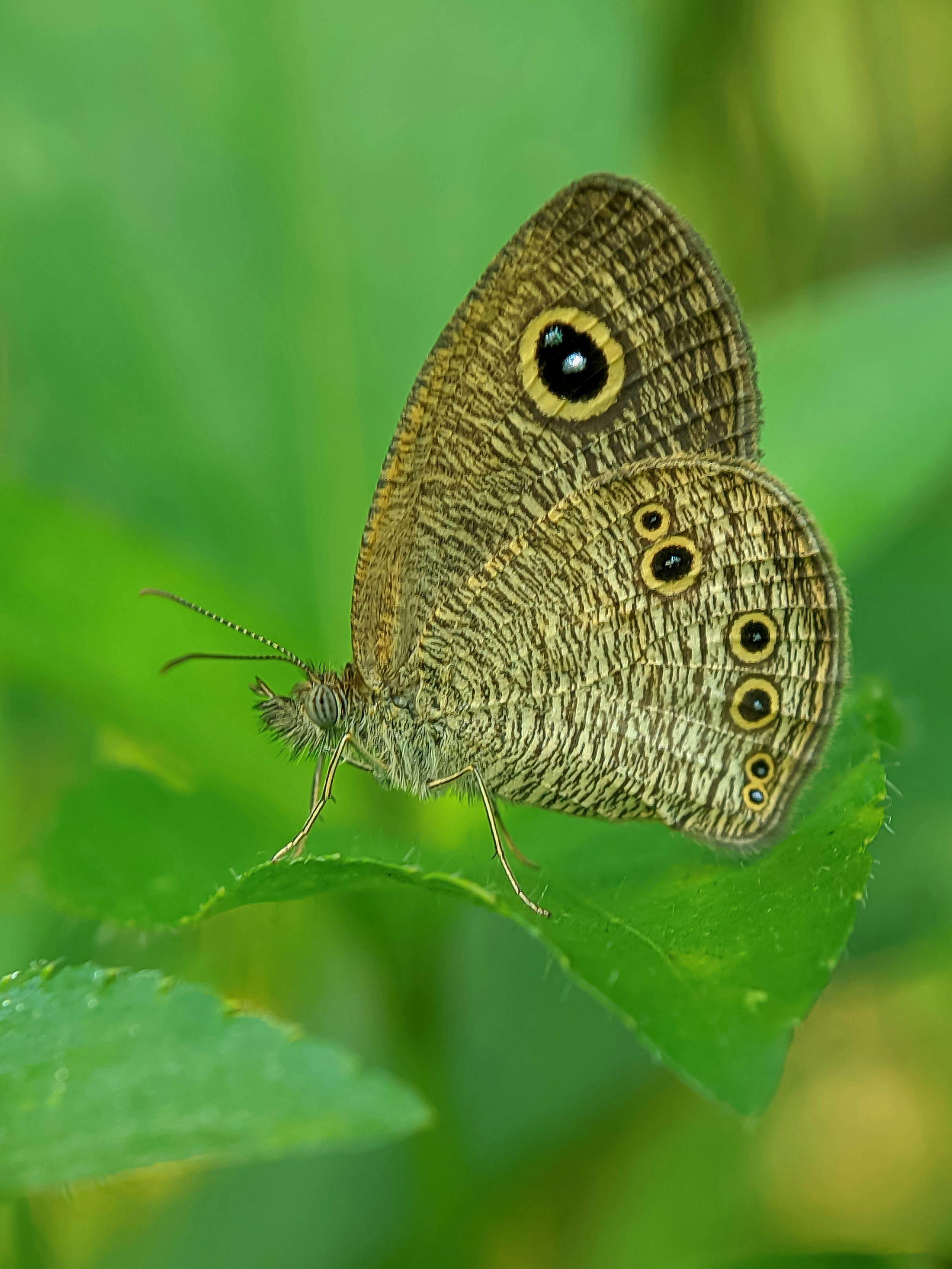 Slideshow Backgrounds Photos, Download The BEST Free Slideshow ...