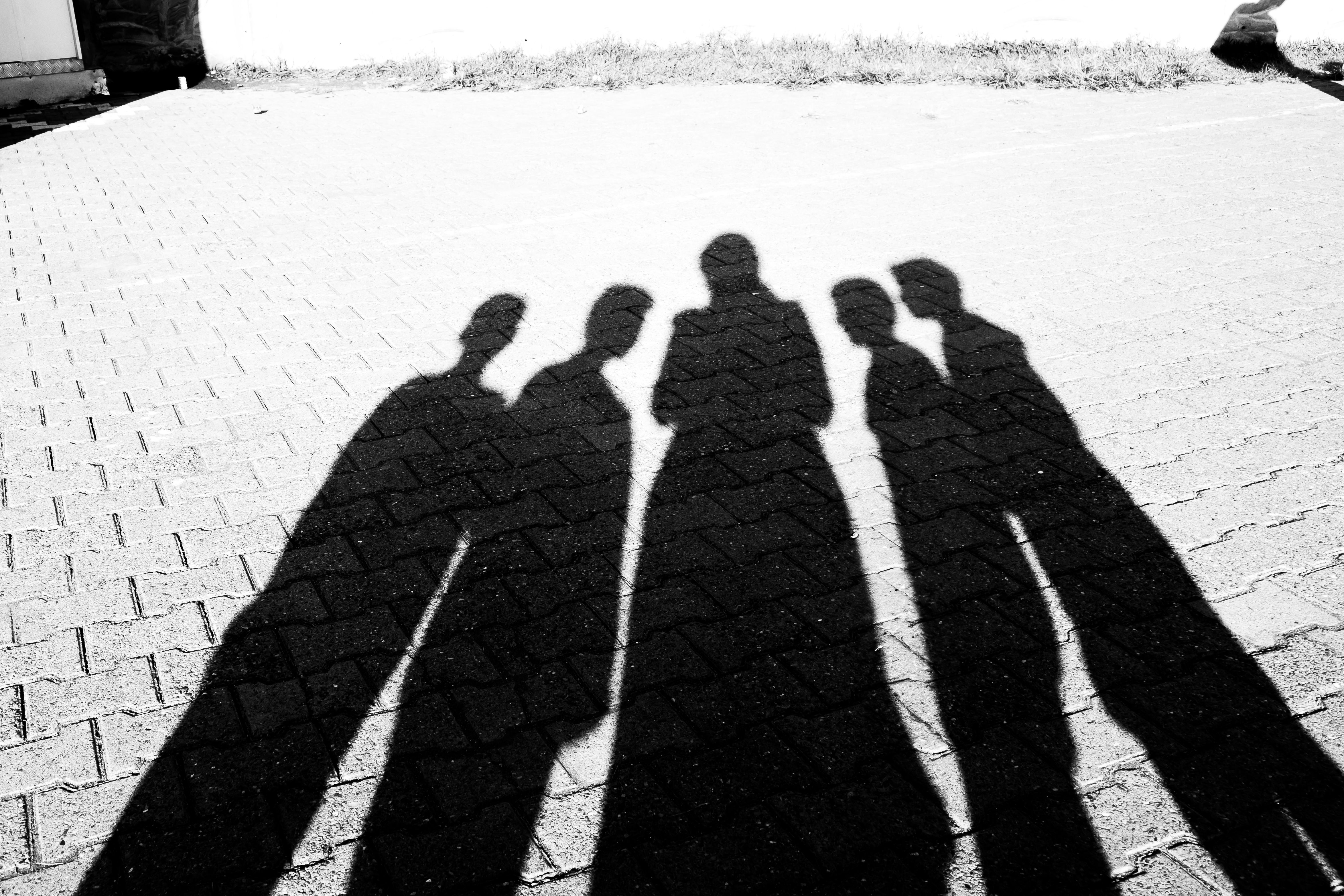 Shadows Photos, Download The BEST Free Shadows Stock Photos & HD Images
