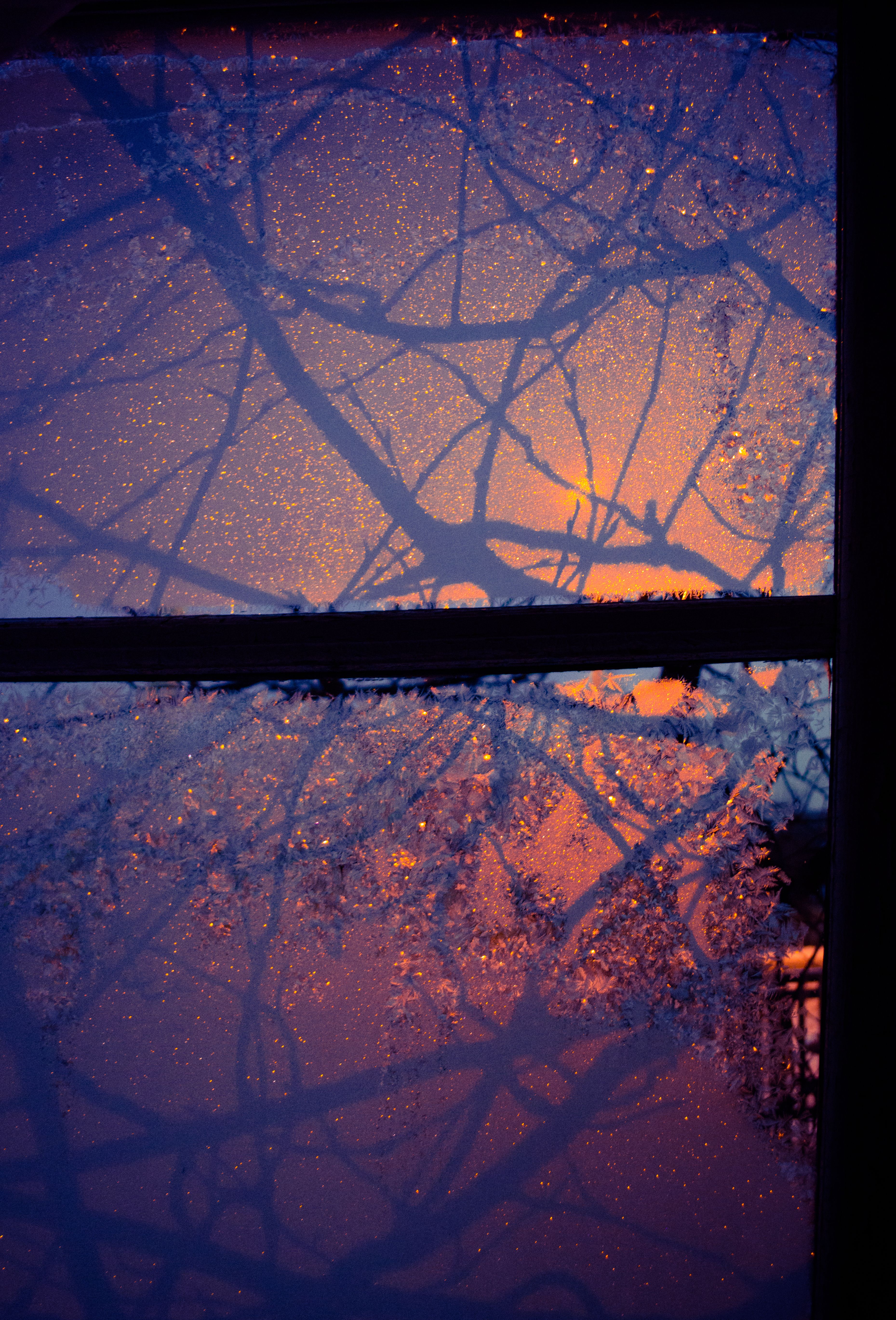 Frosty Window Pane with Branch Shadows at Sunset · Free Stock Photo