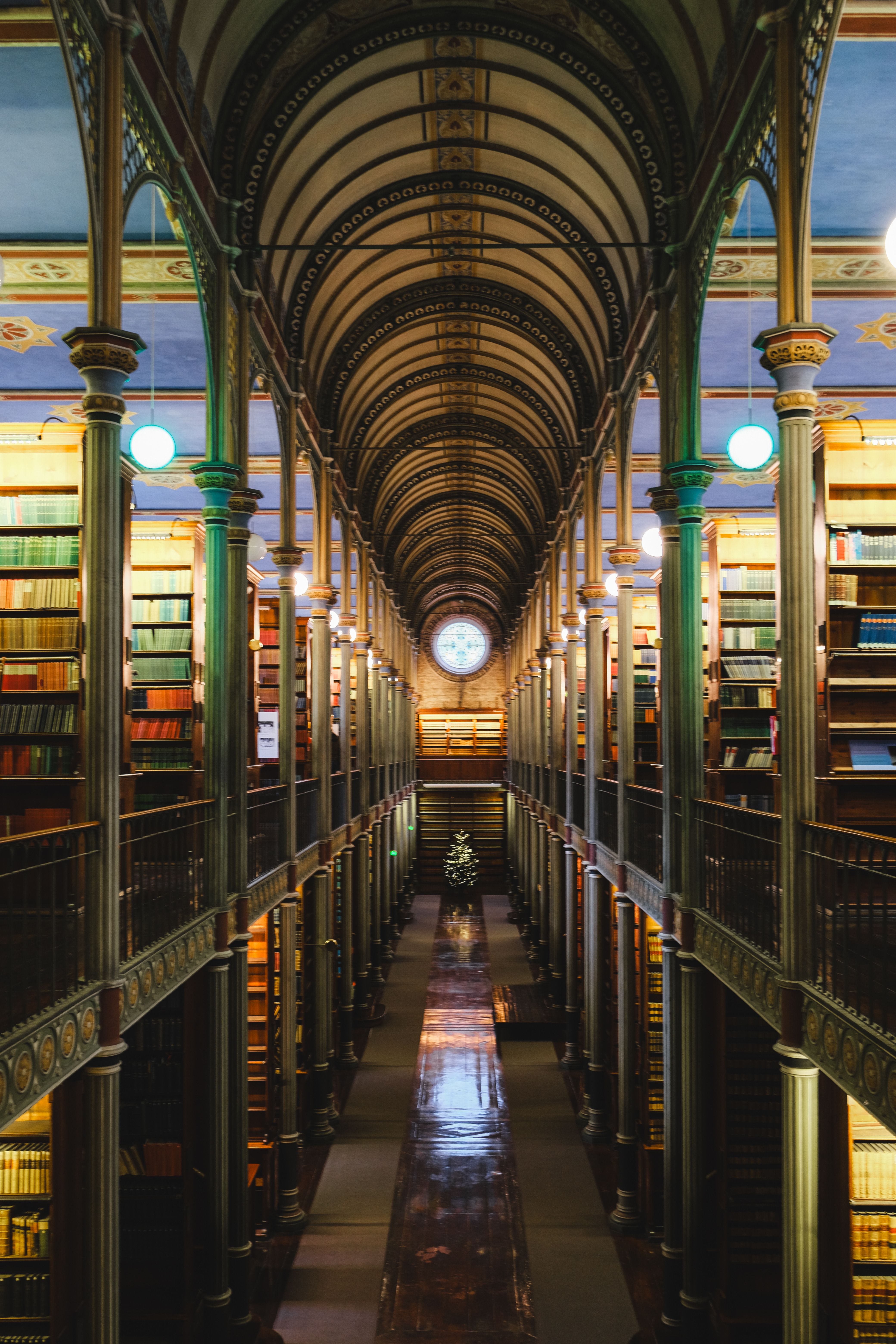 Historic Library with Arched Ceilings and Bookshelves · Free Stock Photo
