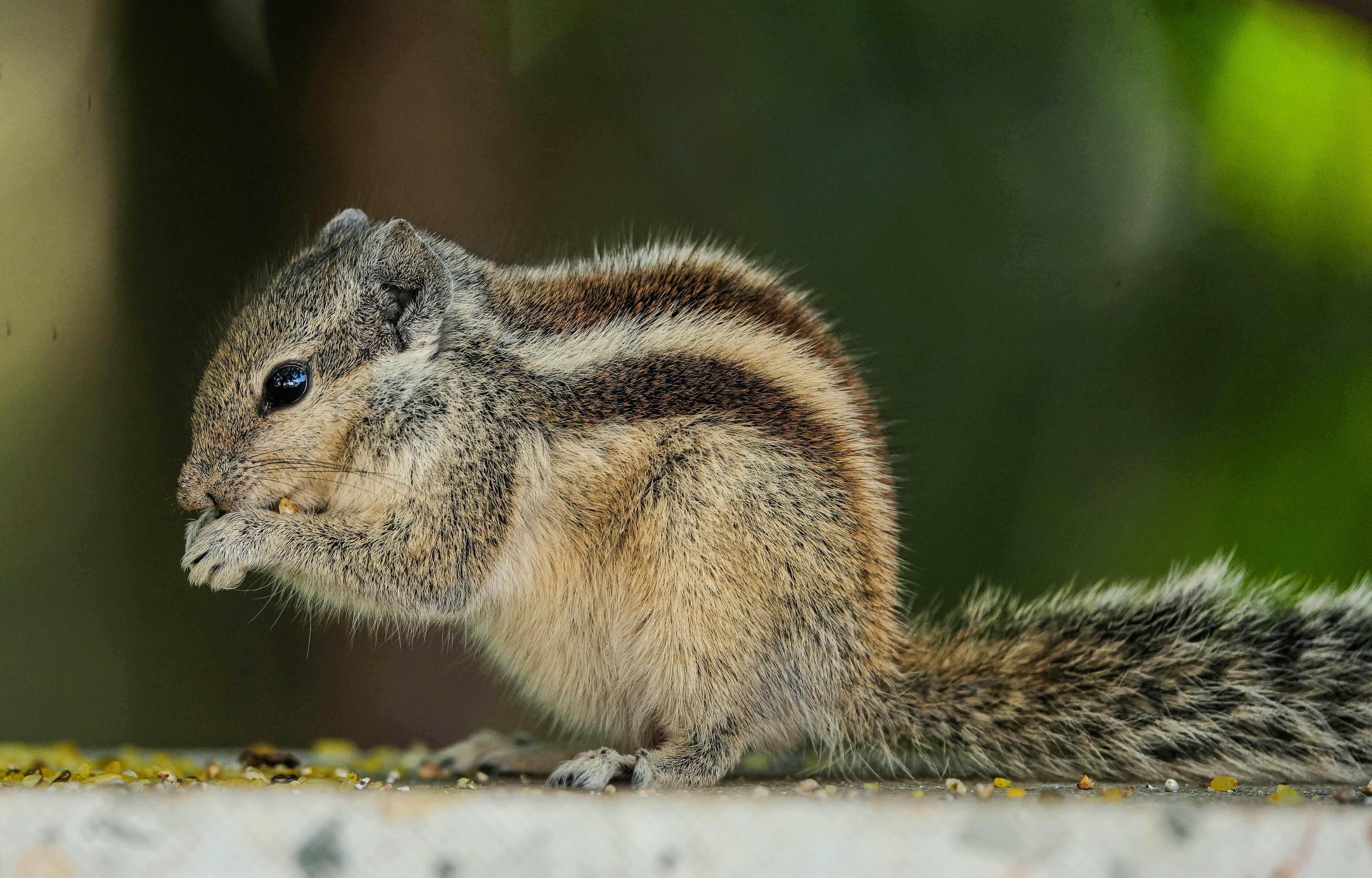 100 000+ Face+bim banque d’images et photos libres de droit ...
