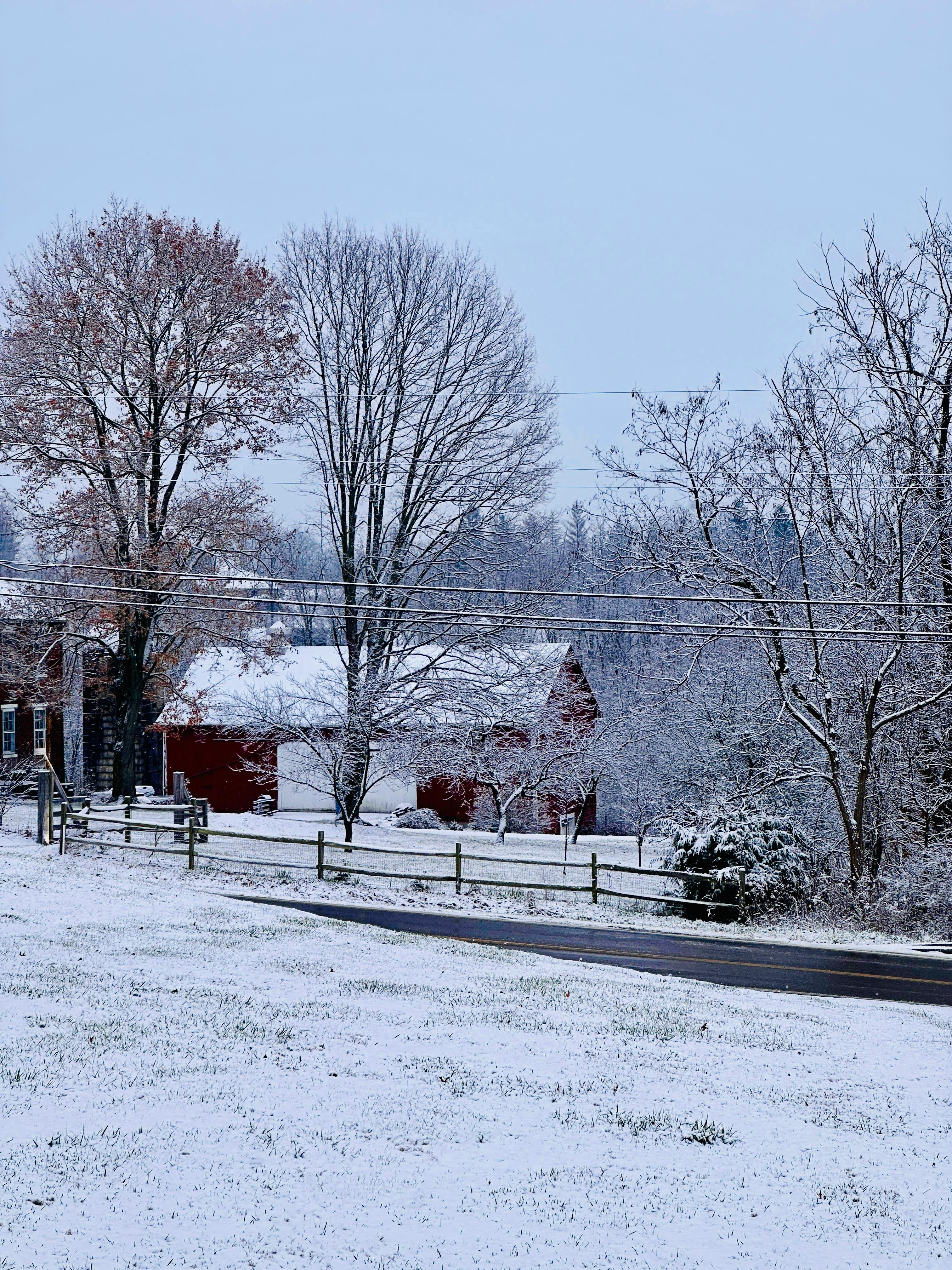 Snow. Photos, Download The BEST Free Snow. Stock Photos & HD Images