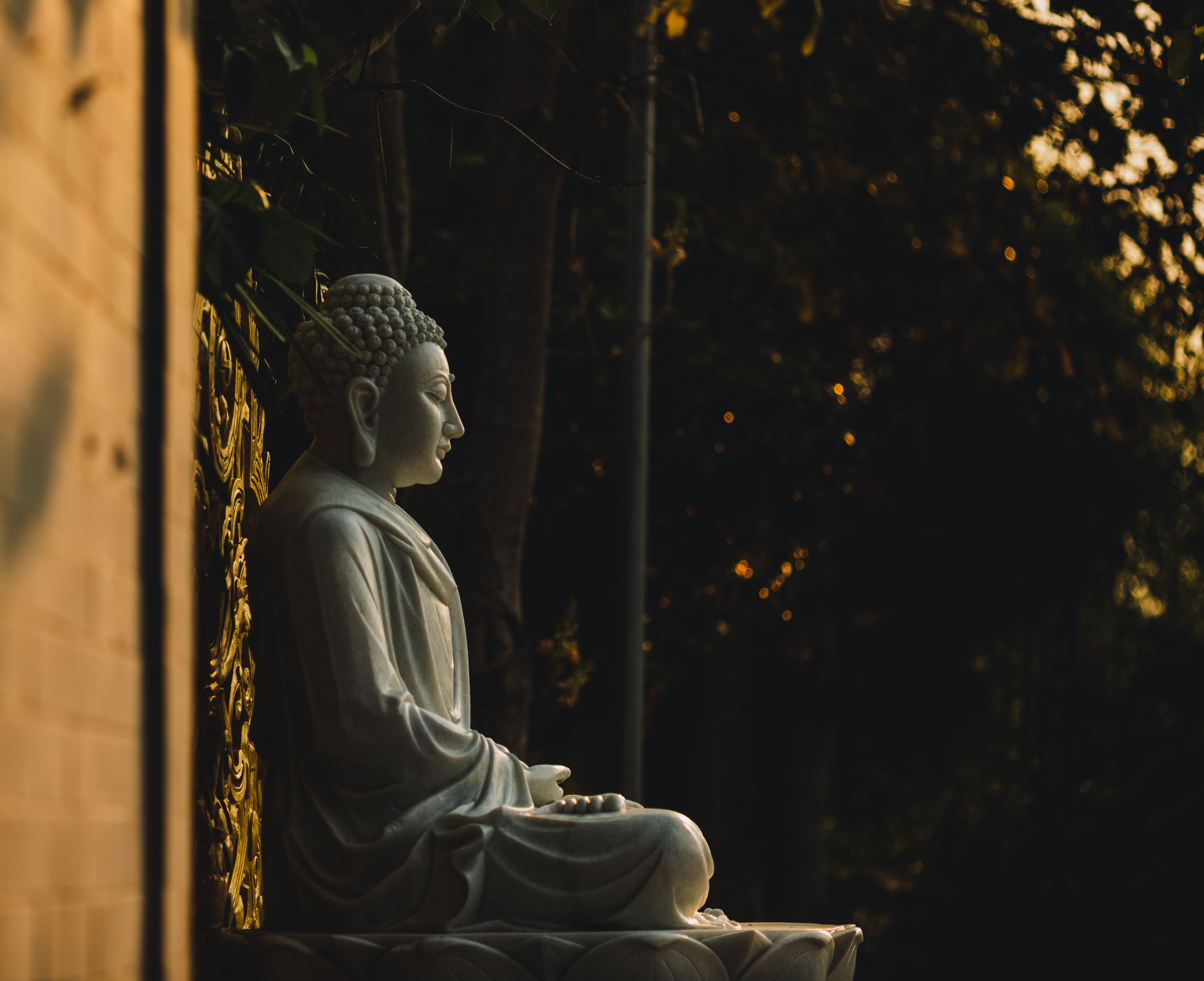 Status Buddha Photos, Download The BEST Free Status Buddha Stock Photos ...