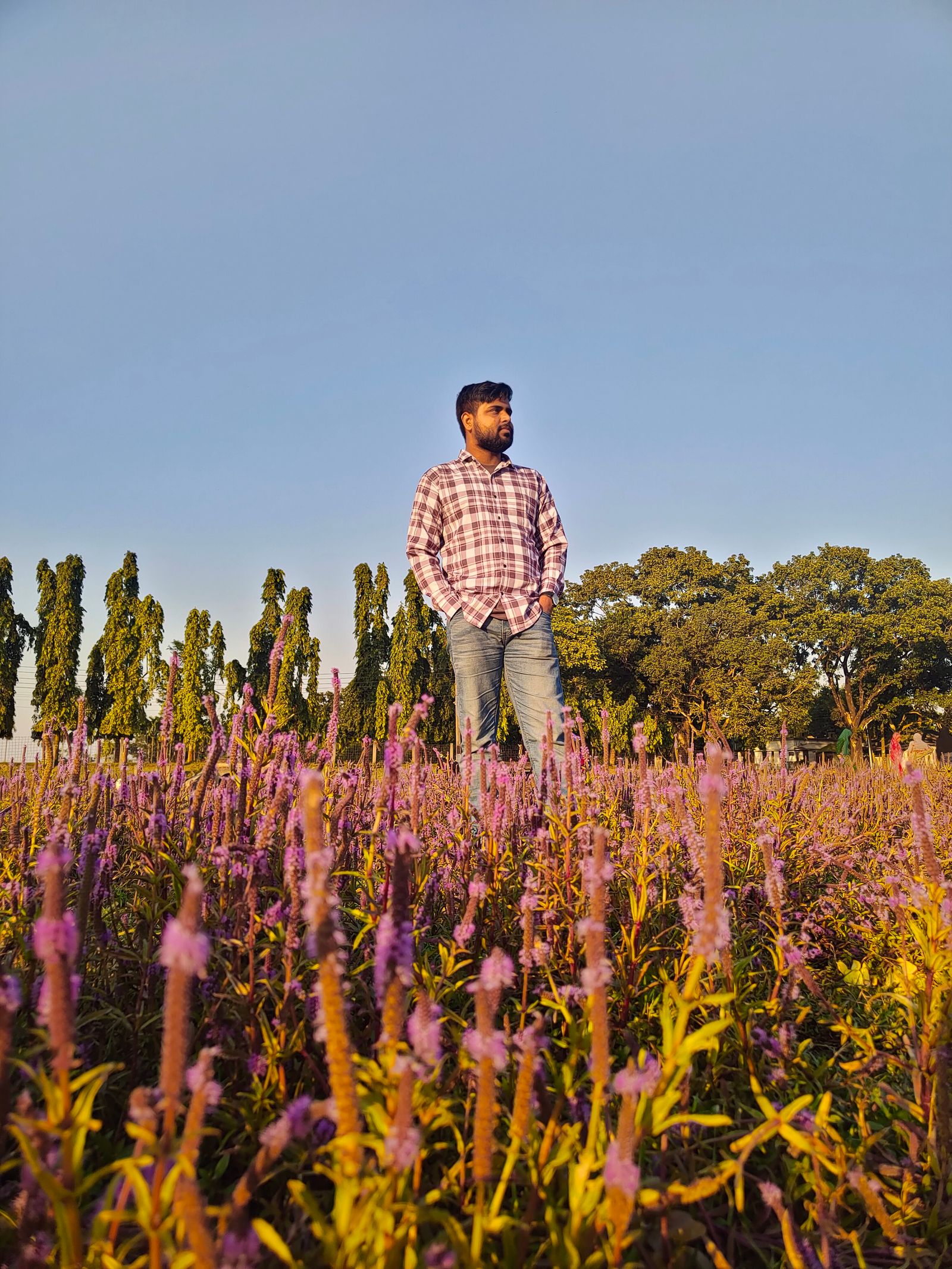 Person In A Field Photos, Download The BEST Free Person In A Field ...
