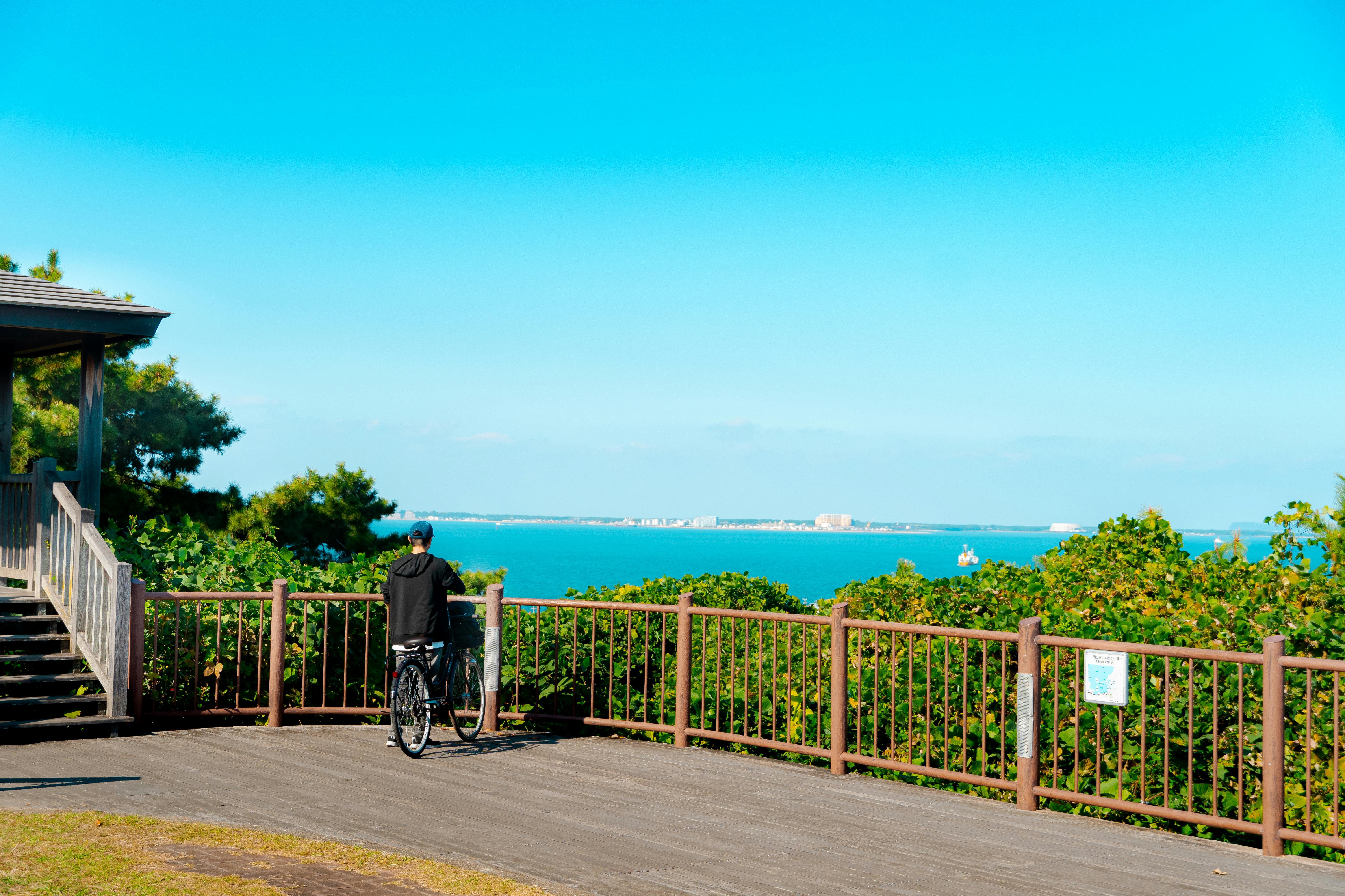 Human Feces Photos, Download The BEST Free Human Feces Stock Photos ...