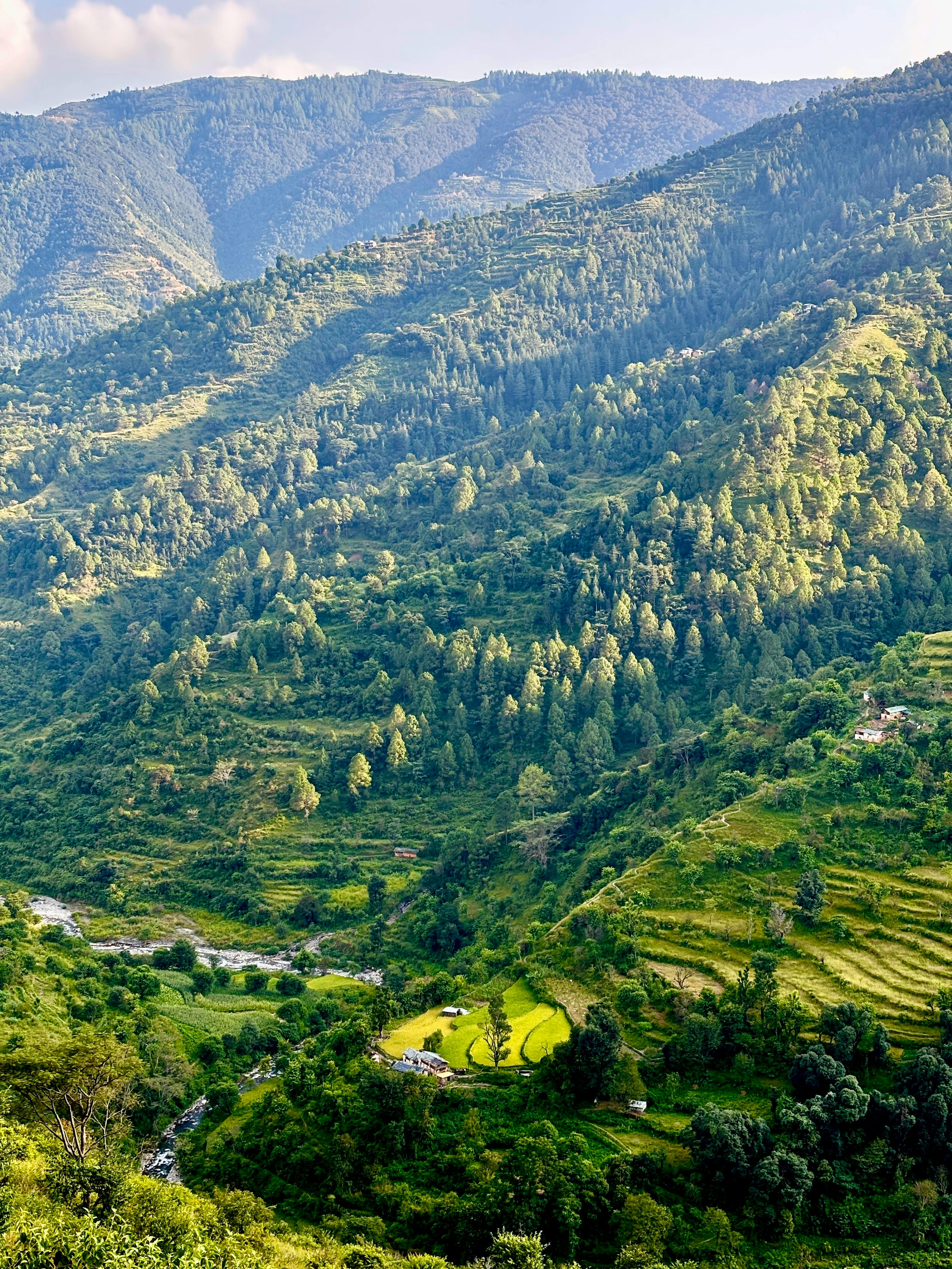 Lush Mountain Landscape with Terraced Fields · Free Stock Photo